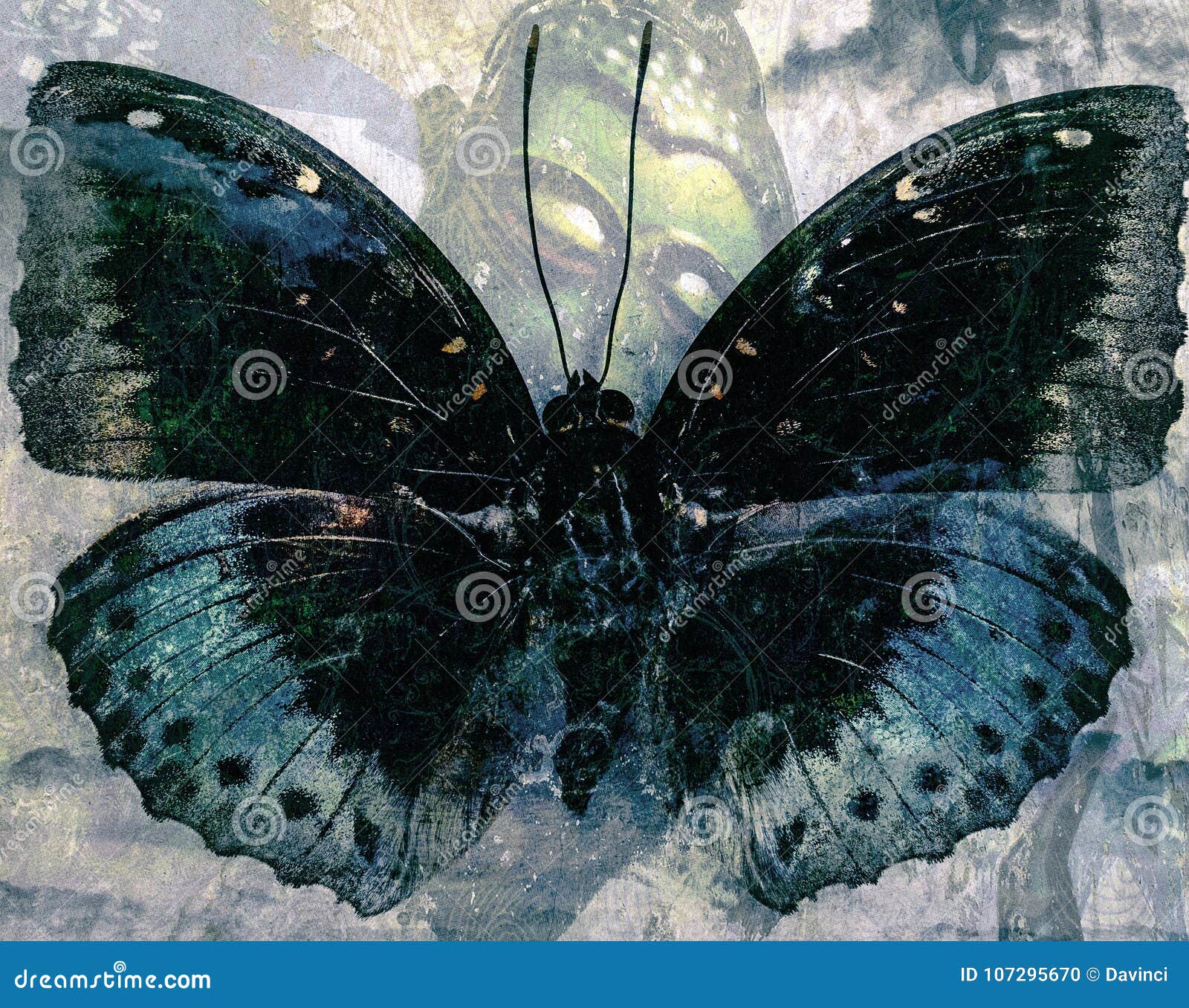 Grunge Butterfly Background Texture Stock Illustration - Illustration ...