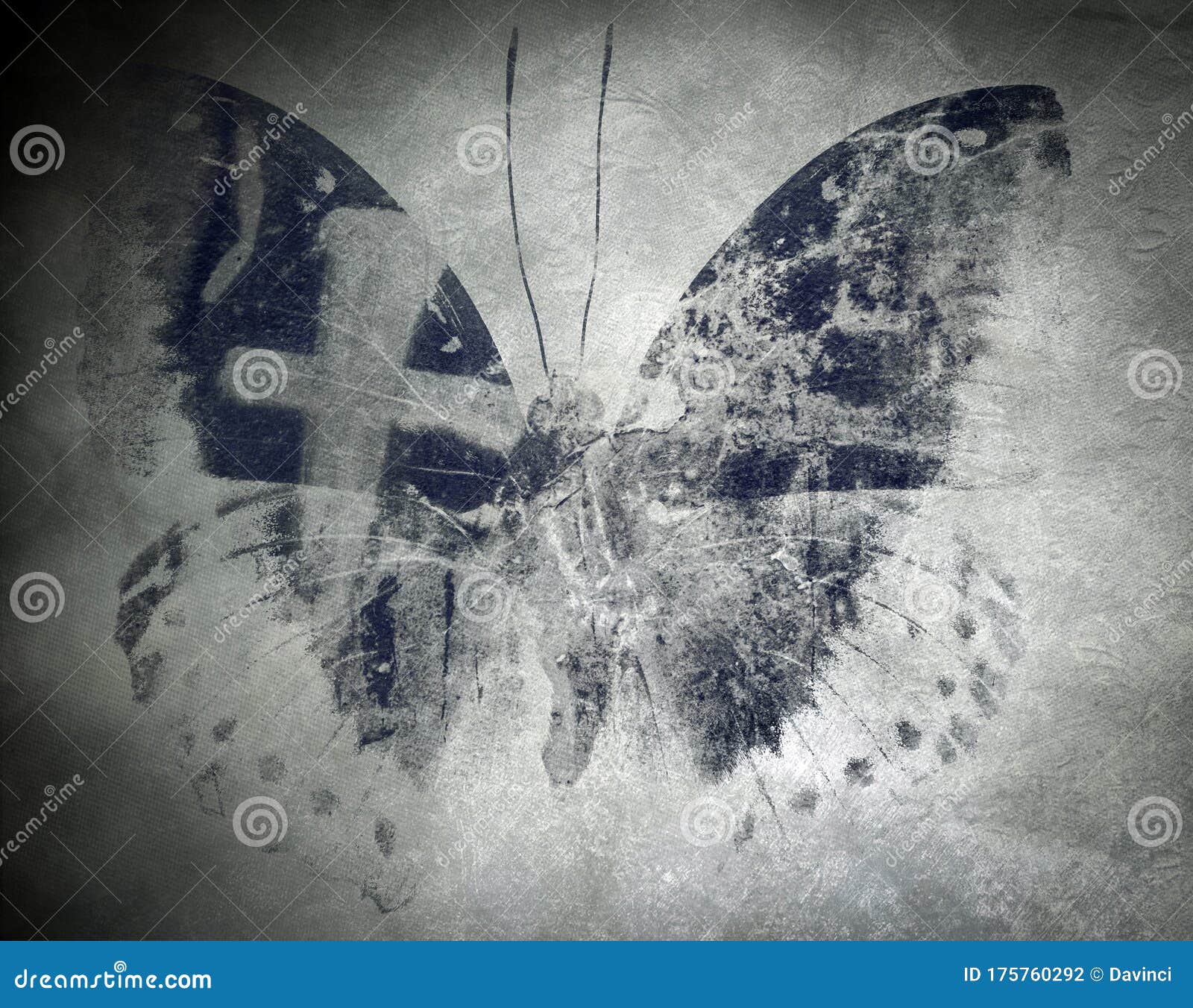 Grunge butterfly stock photo. Image of concept, spring - 175760292