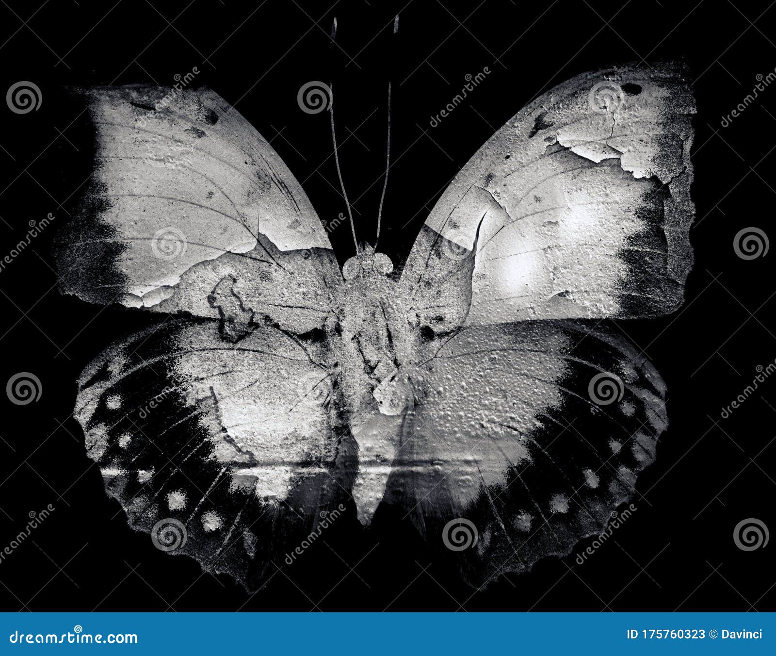 Grunge butterfly stock image. Image of textured, concept - 175760323