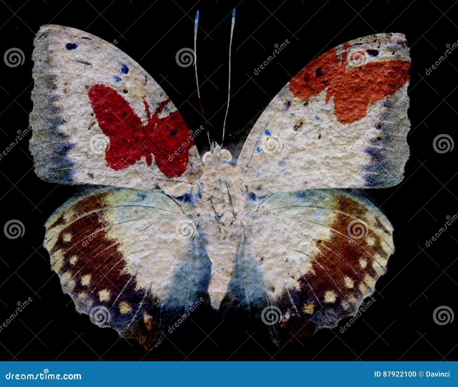Grunge butterfly stock illustration. Illustration of pattern - 87922100