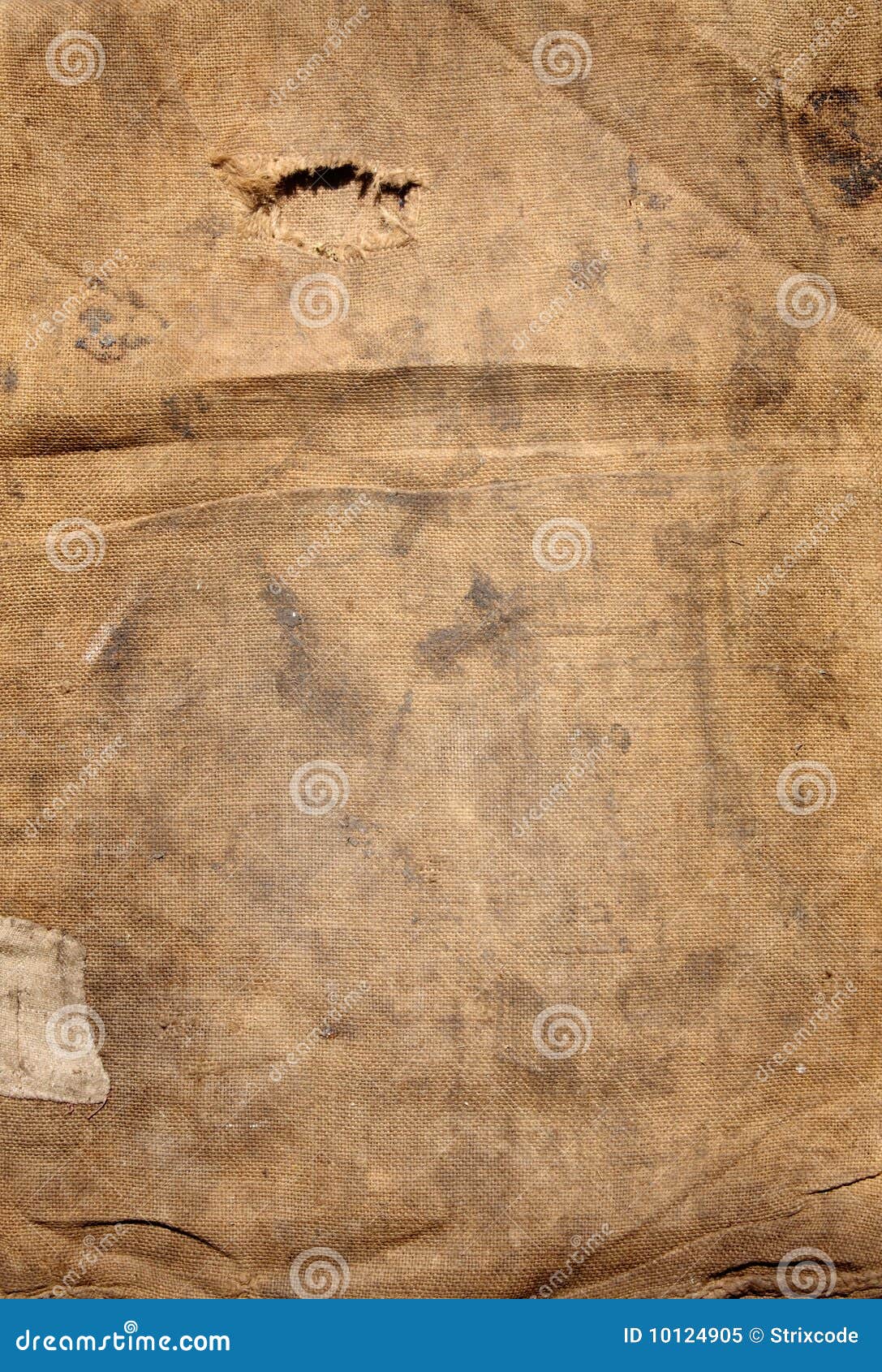 12,336 Spotted Canvas Stock Photos - Free & Royalty-Free Stock Photos ...