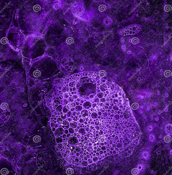 Grunge cellular texture stock illustration. Illustration of ancient ...