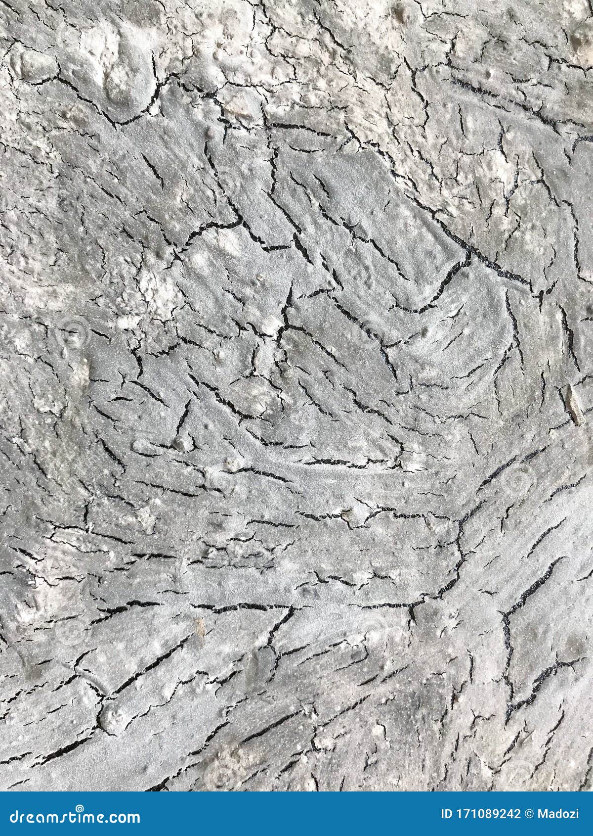 Texture of cement stock photo. Image of backdrop, element - 171089242