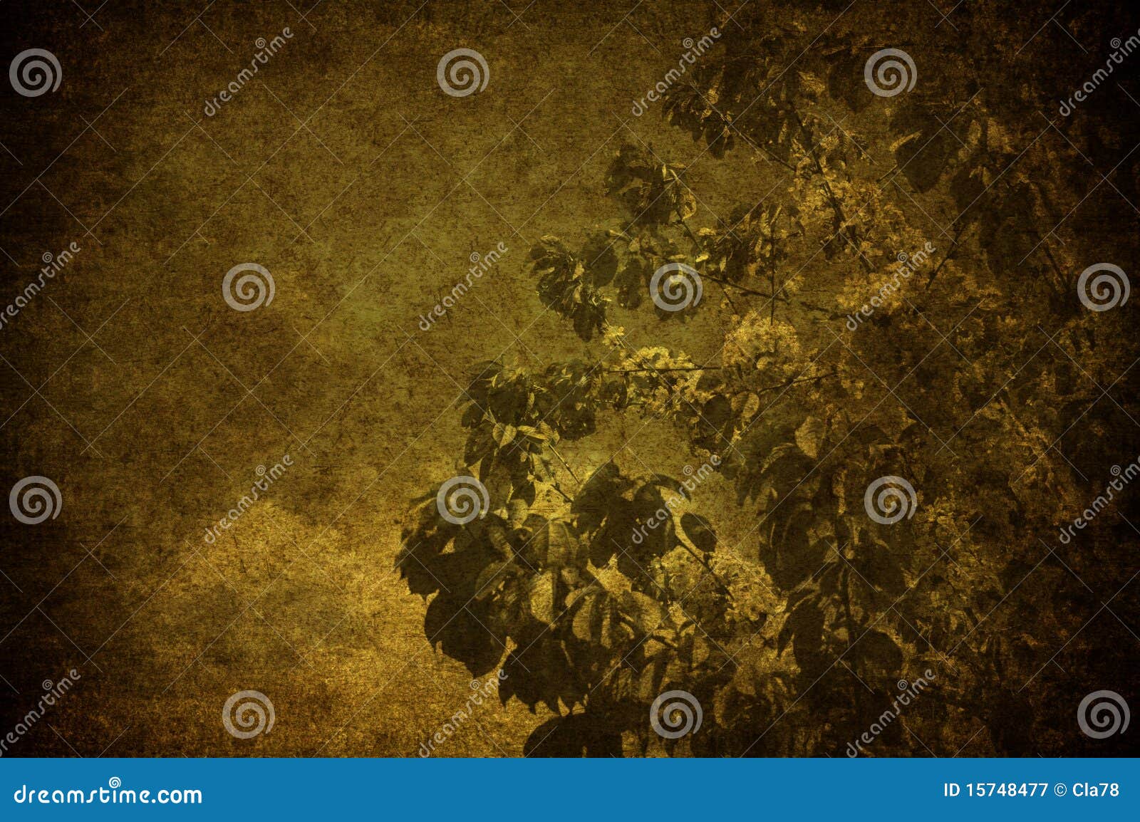 Grunge cherry tree stock image. Image of grunge, calla - 15748477