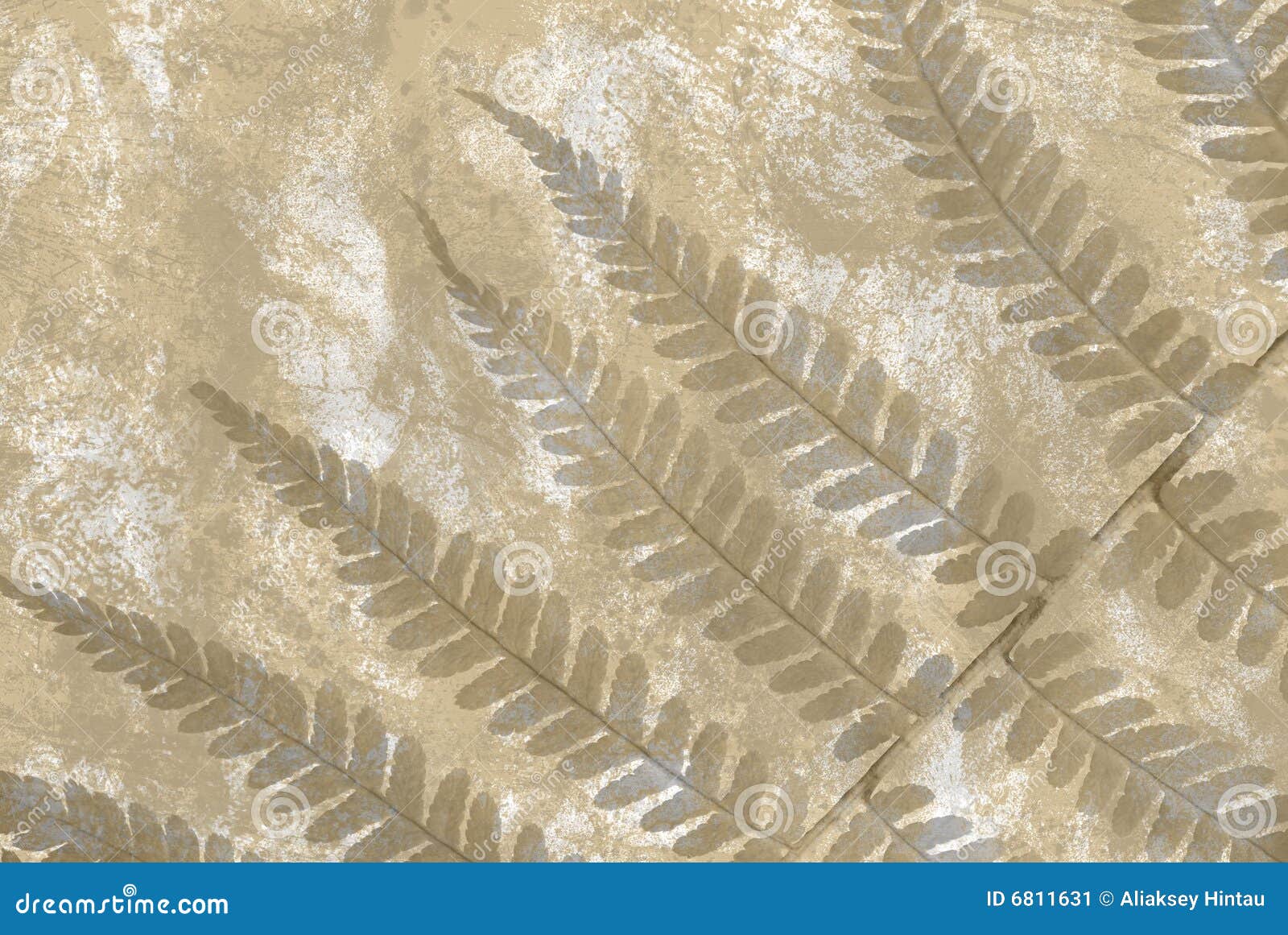 Fern Background Stock Photography | CartoonDealer.com #9842948