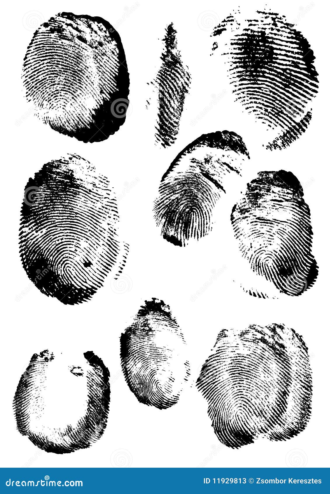 Grunge fingerprint stock vector. Illustration of biometric - 11929813