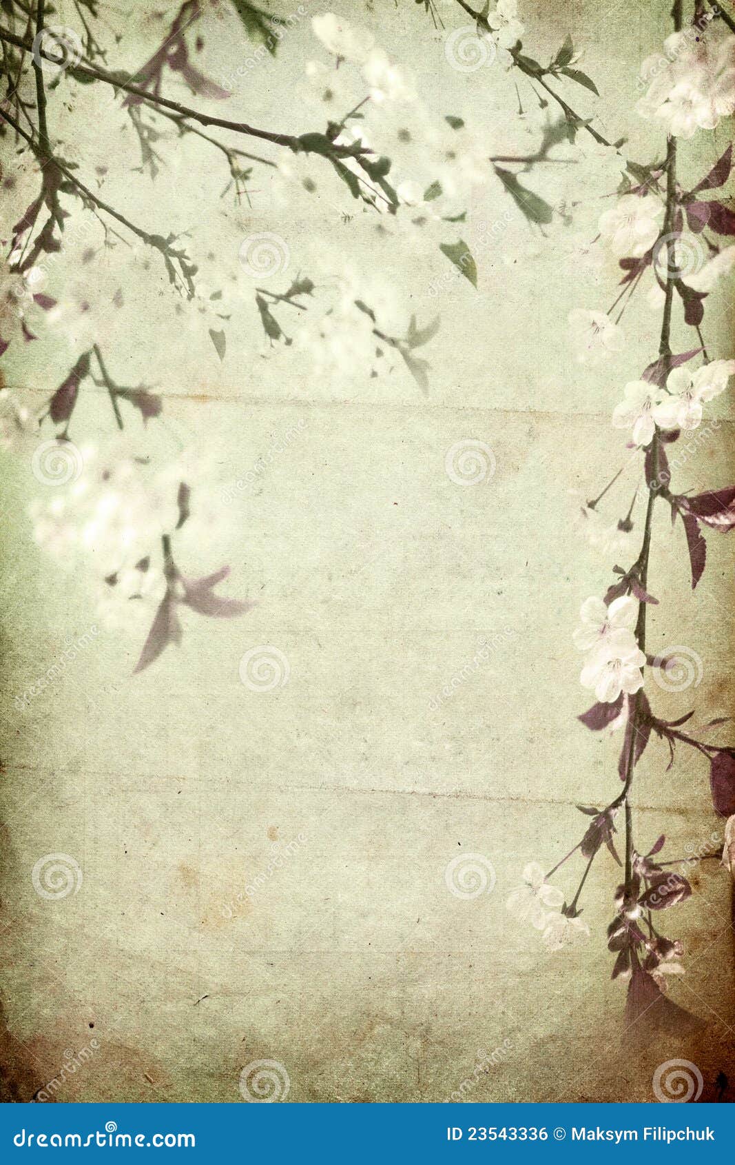 Grunge floral background stock photo. Image of borders - 23543336
