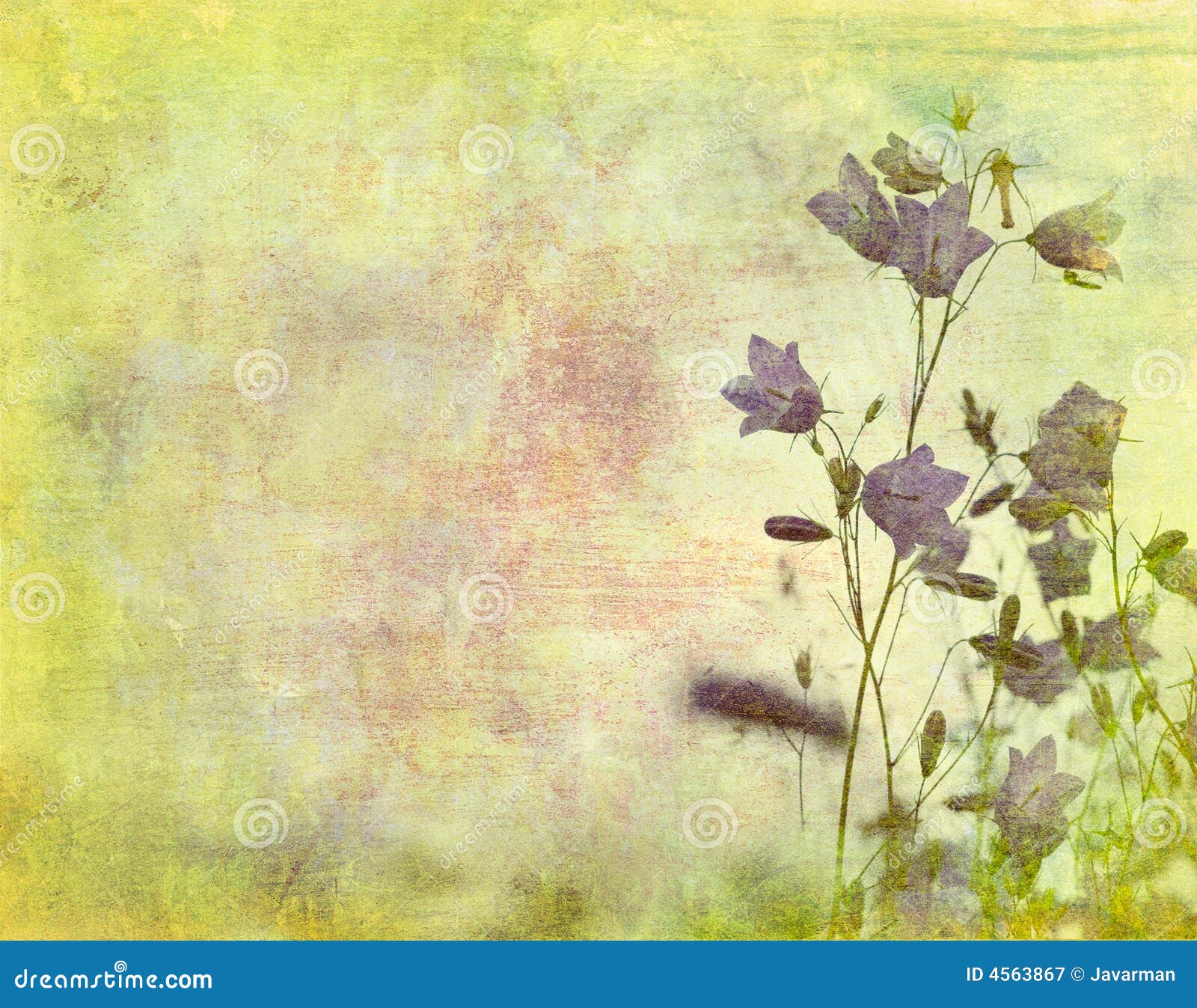 Grunge floral background stock illustration. Illustration of leaves ...