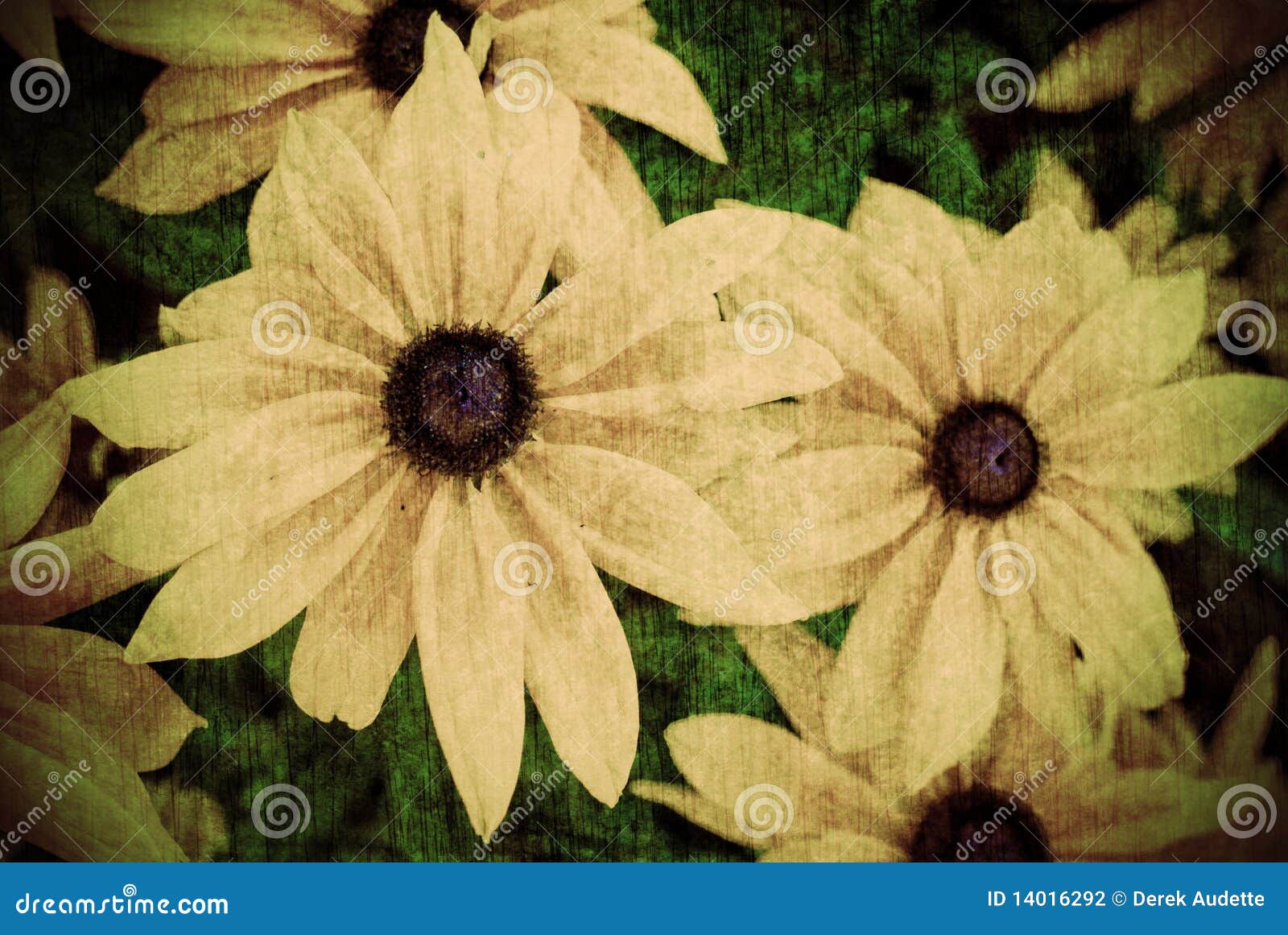 Grunge Flower Background stock photo. Image of backdrop - 14016292