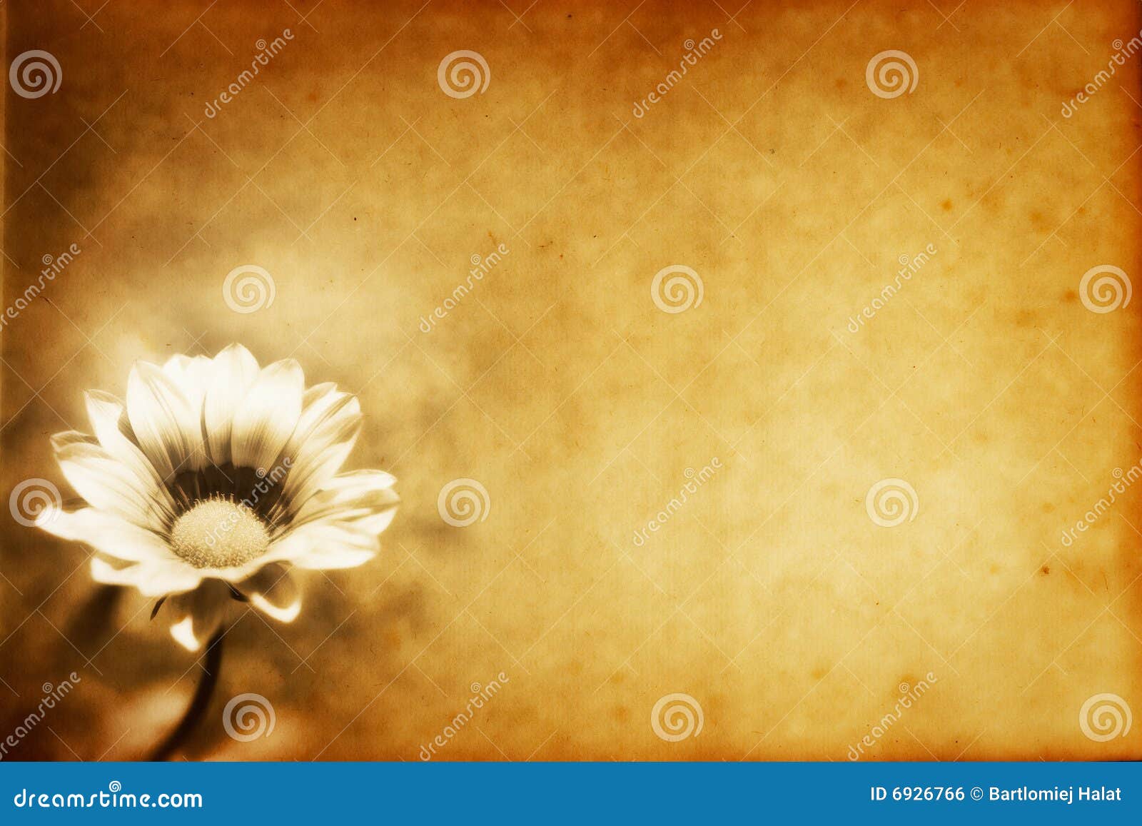 Old And Flower Paper Texture Background Stock Photo | CartoonDealer.com ...