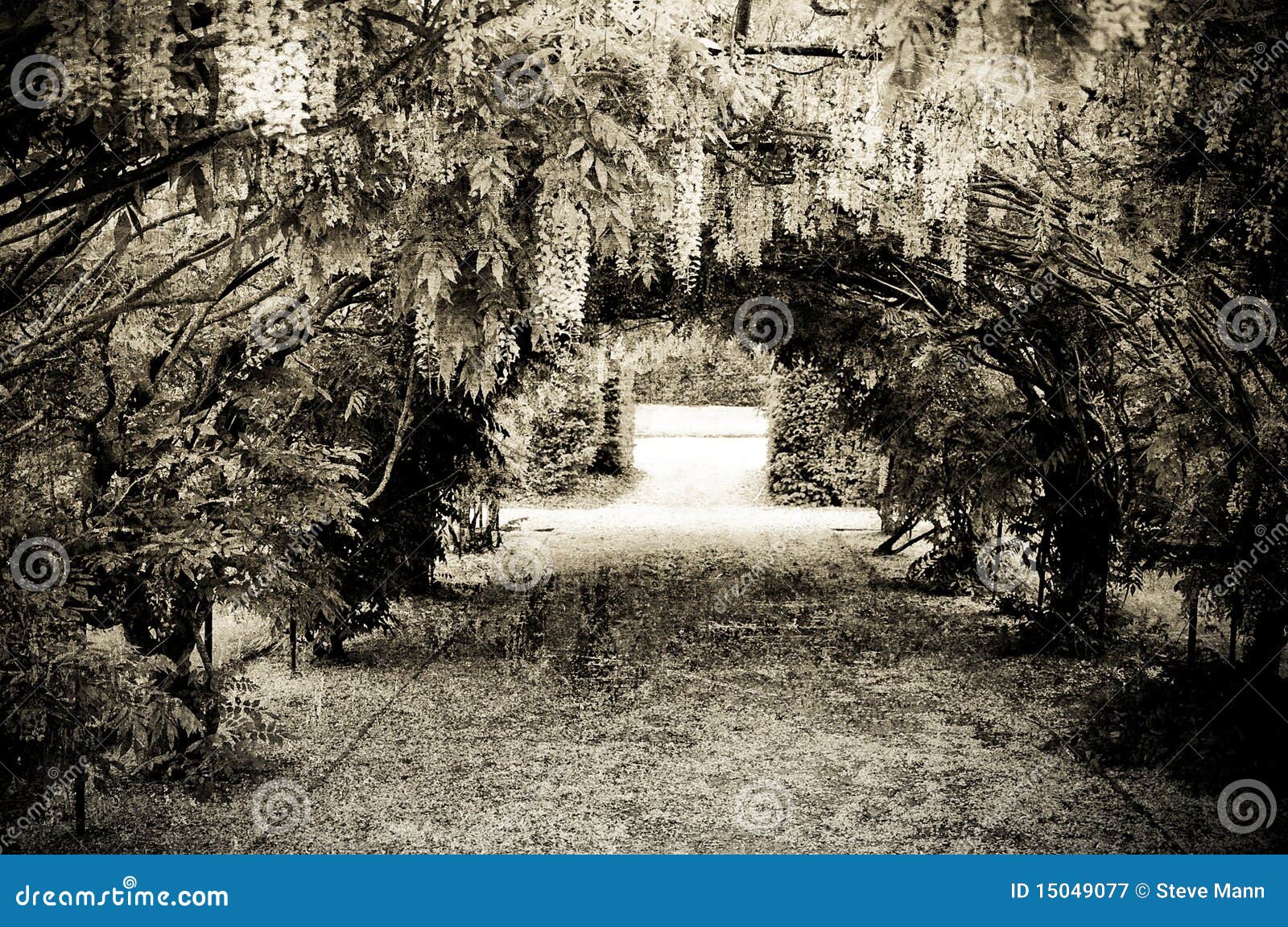 Grunge garden stock image. Image of hanging, gardens - 15049077