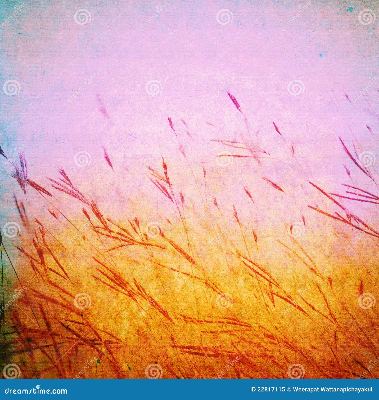 Grunge grass field stock image. Image of retro, texture - 22817115
