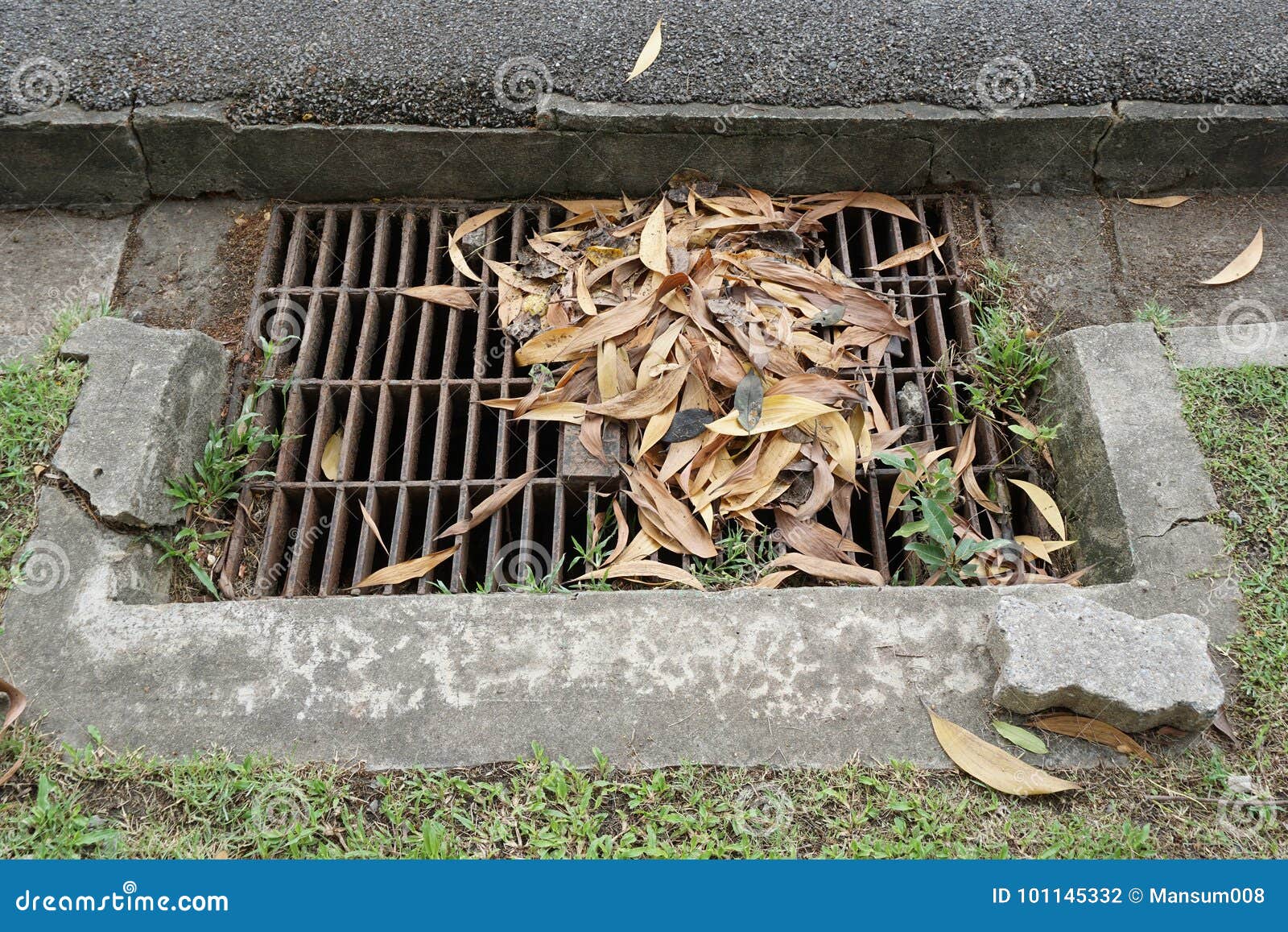 Grunge Grate on the Ground in Nature Garden Stock Photo - Image of ...