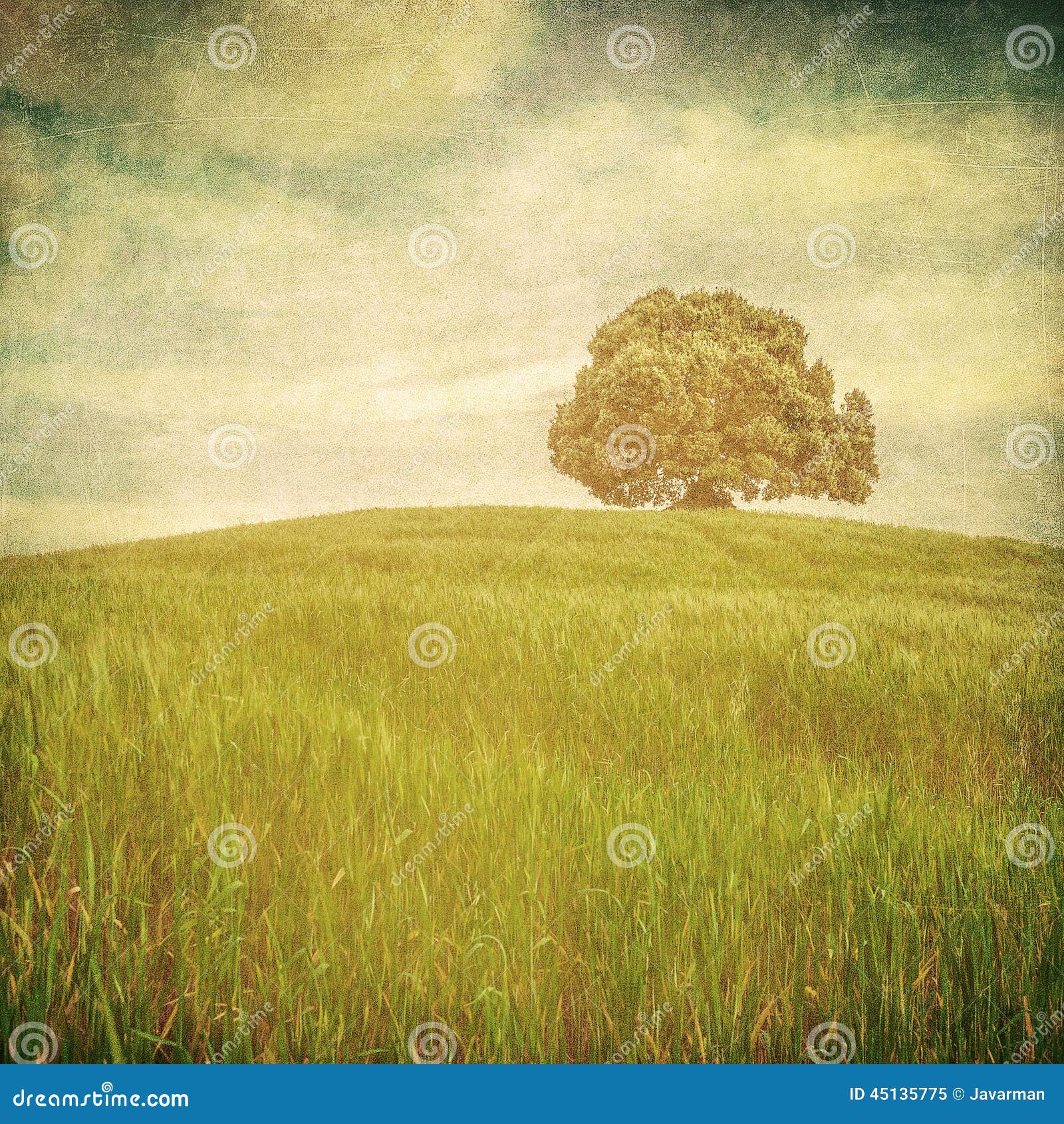Grunge Image of a Tree Over Grunge Background Stock Image - Image of ...