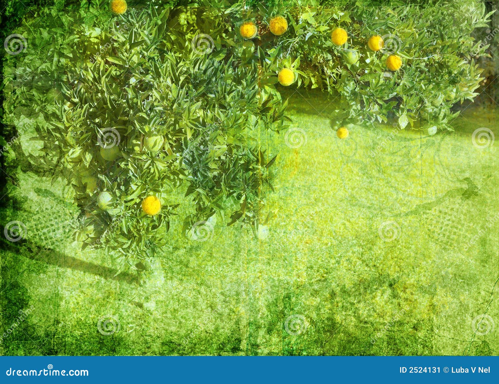 Grunge Lemon Tree Background Stock Image - Image of burnt, foliage: 2524131