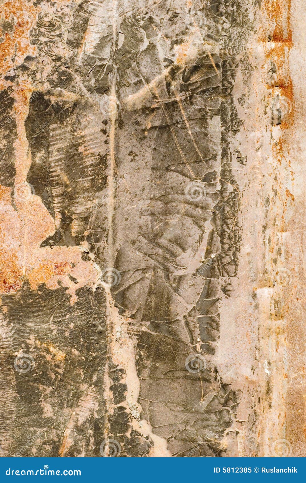 Grunge metal stock image. Image of stain, metallic, surface - 5812385