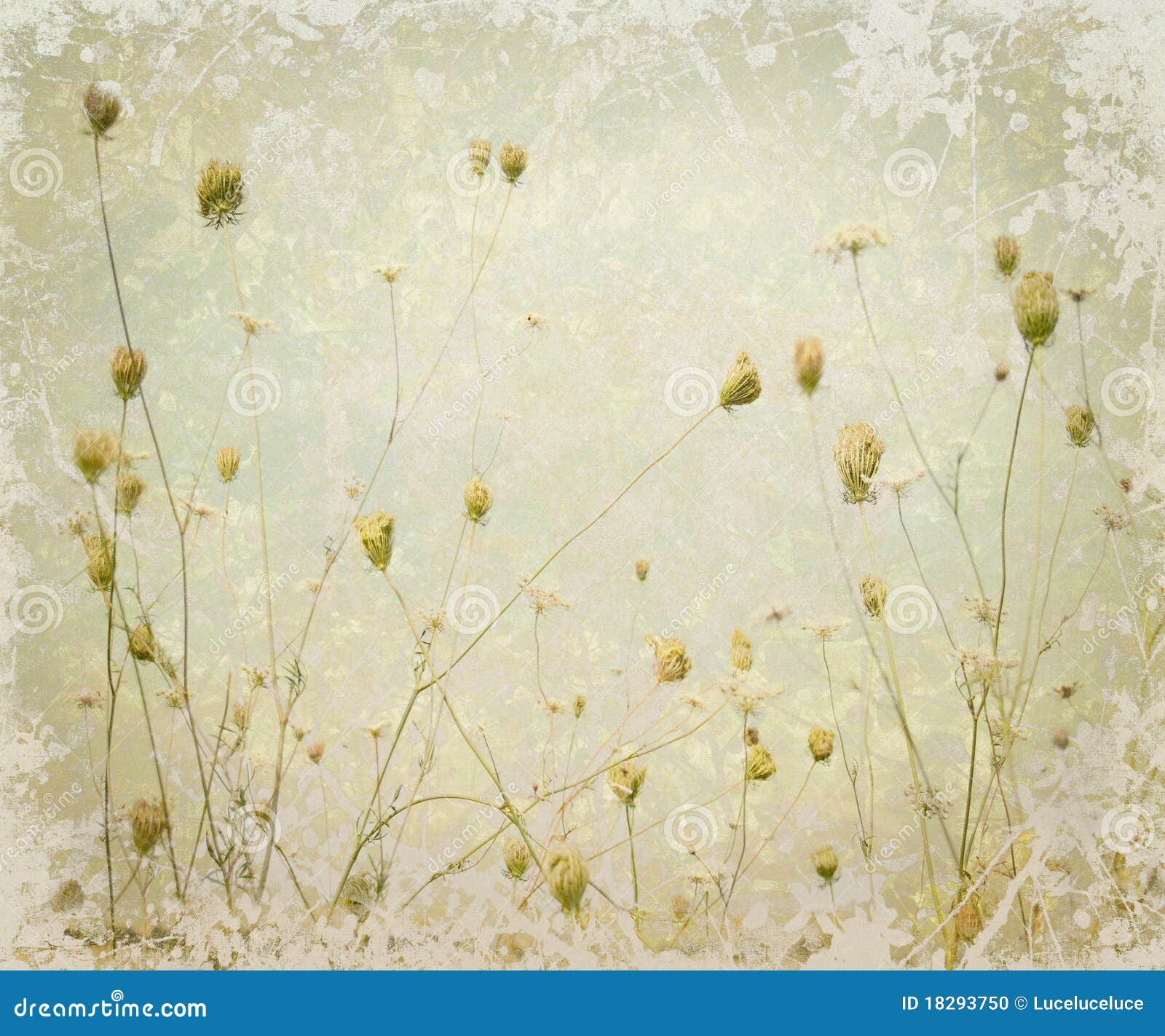 Pale Flower Art On Paper Background Royalty-Free Stock Photography ...
