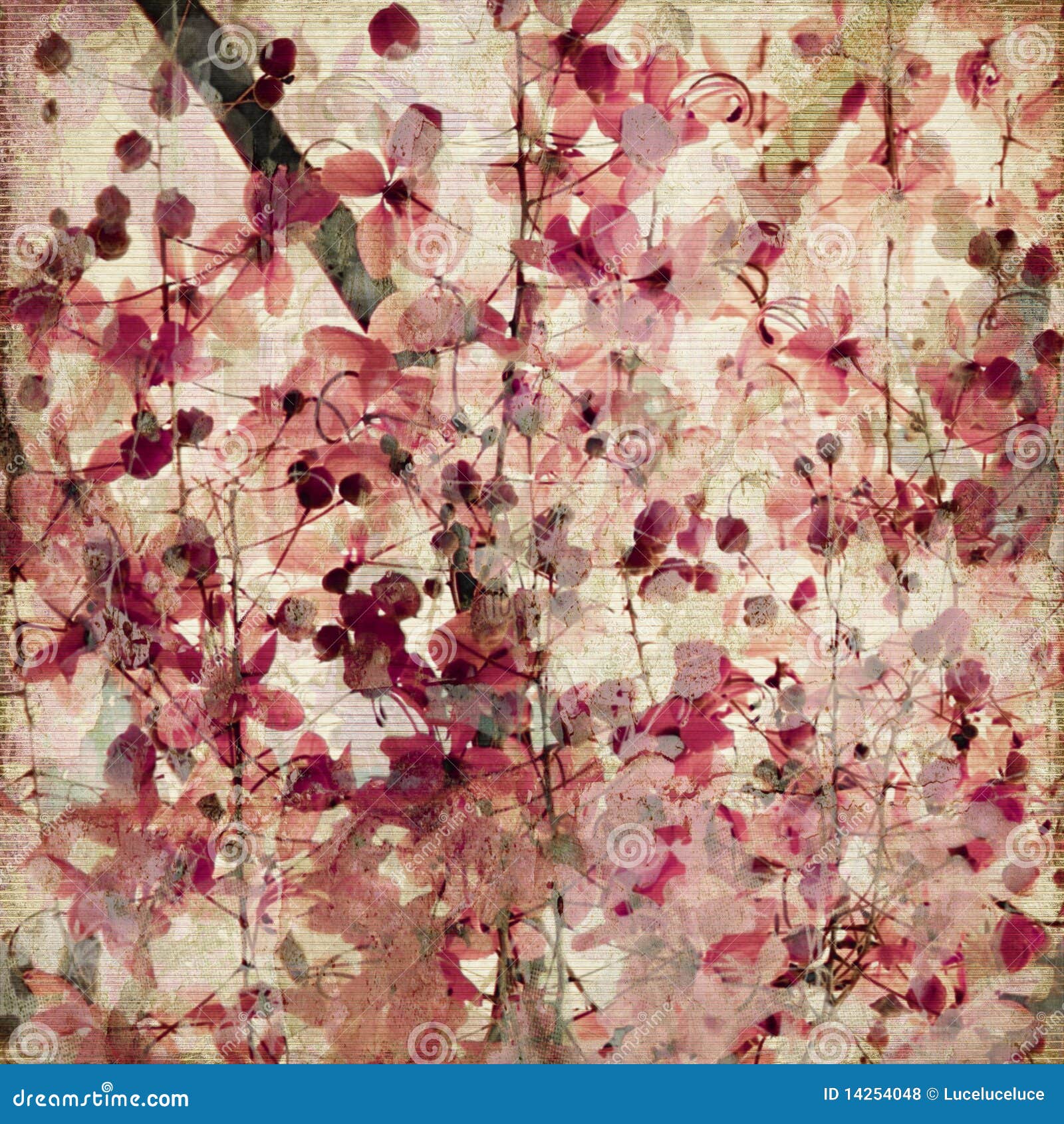 Grunge Pink Blossom Bamboo Antique Background Stock Photo - Image of ...