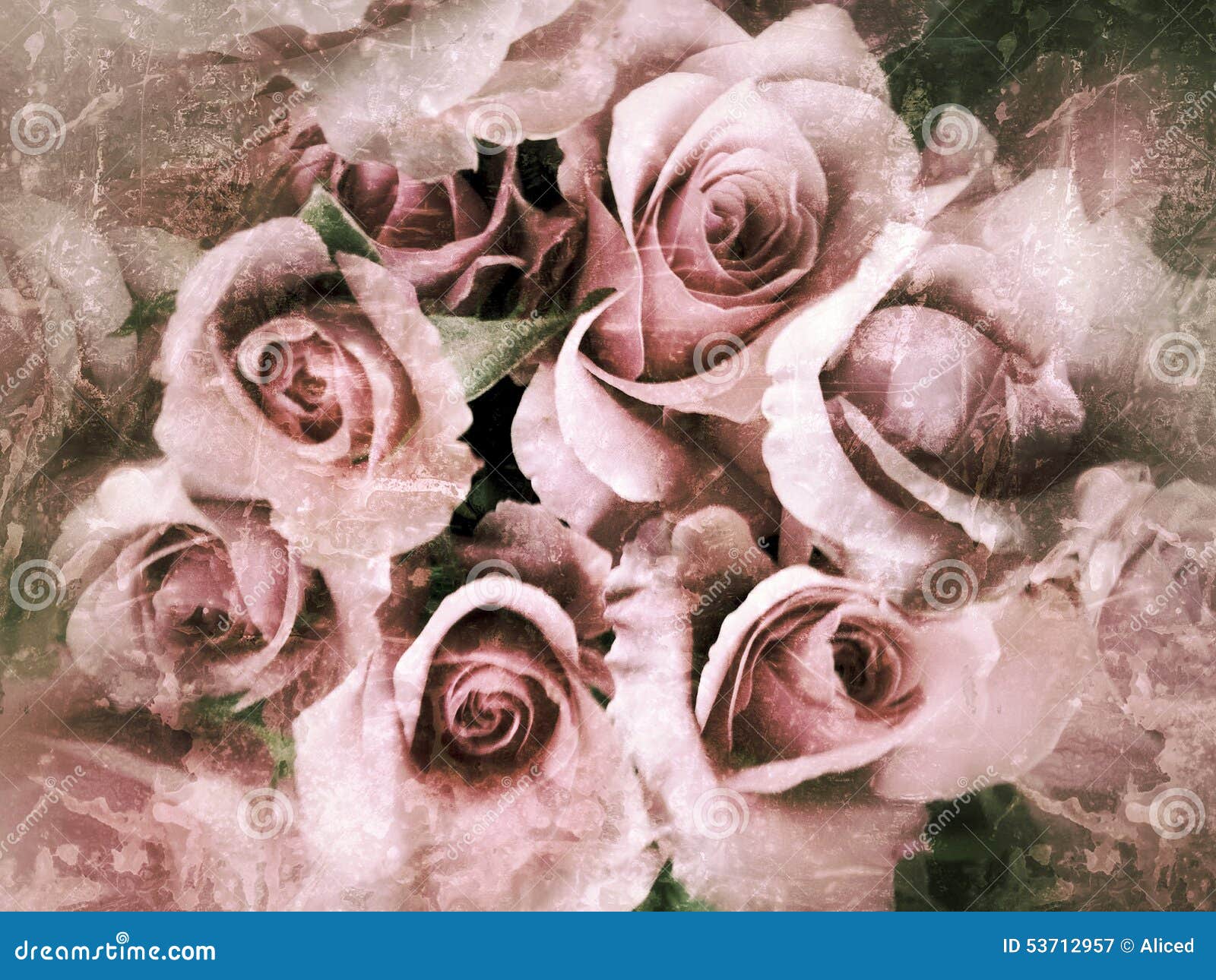 Grunge pink roses stock image. Image of grunge, textures - 53712957