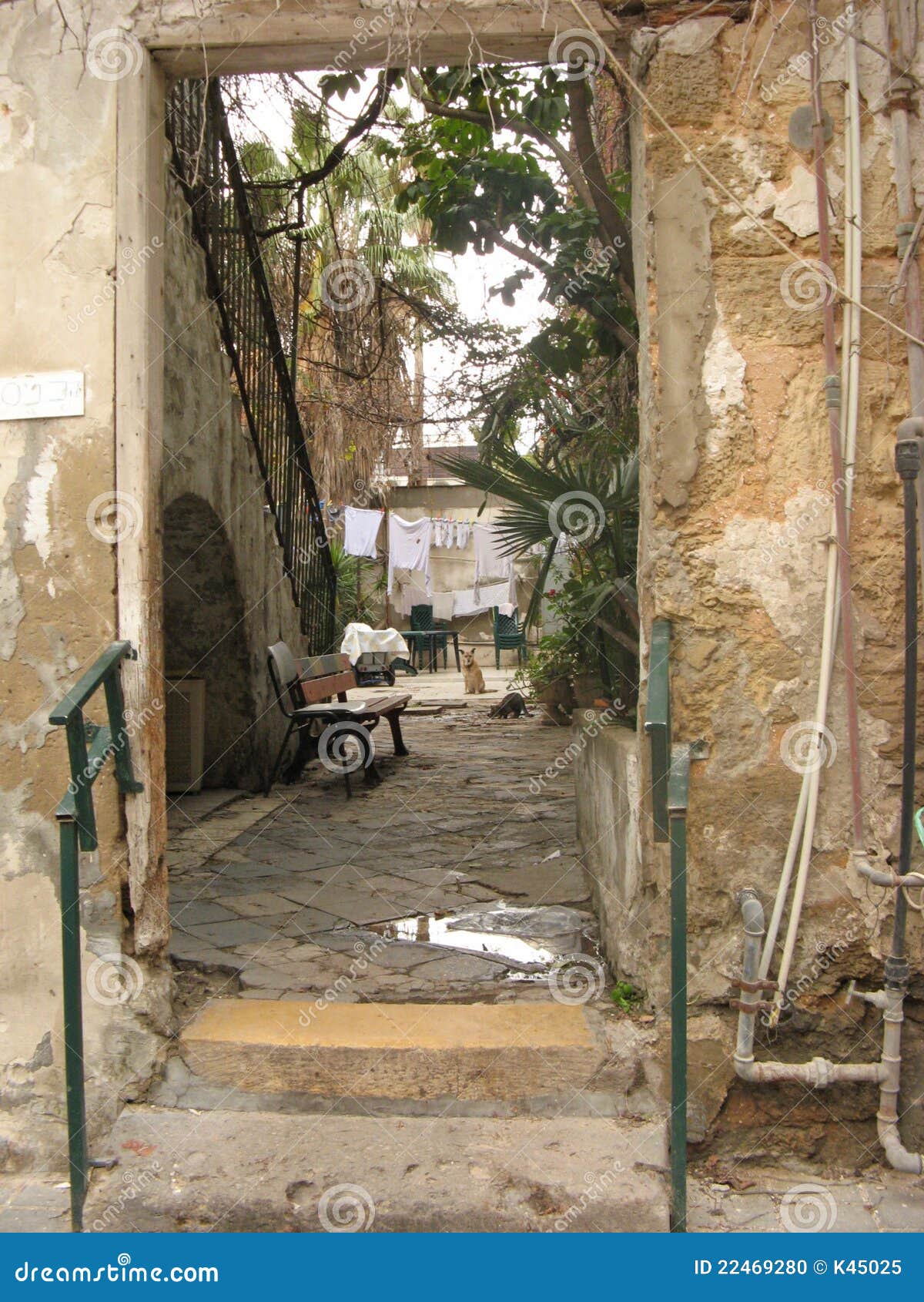 Grunge poor yard entrance stock photo. Image of pina - 22469280