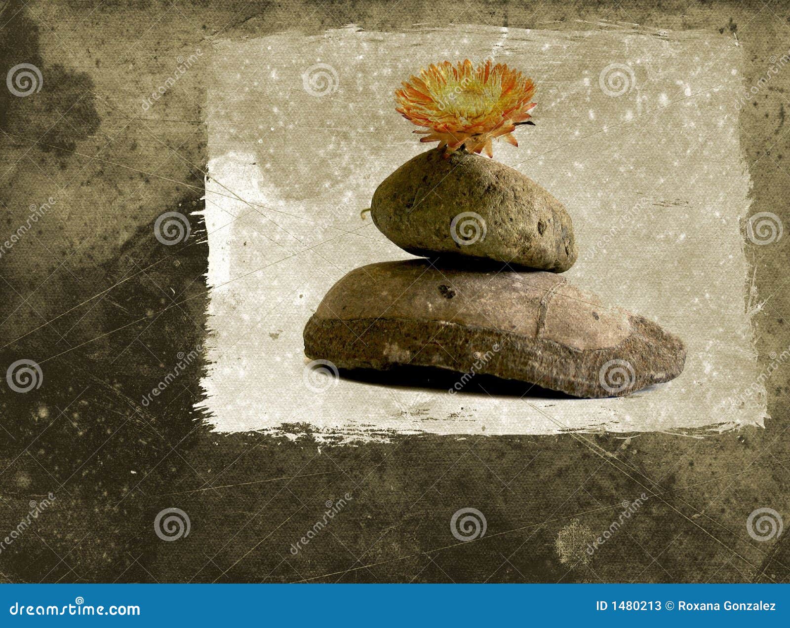 Grunge Postcard with Still Life Stock Image - Image of background ...