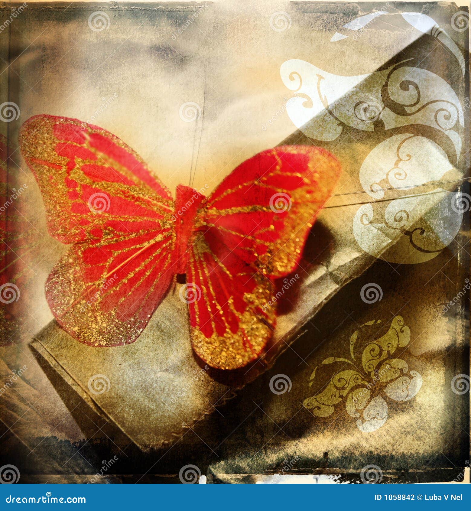 Ripped Butterfly Stock Photos - Free & Royalty-Free Stock Photos from ...