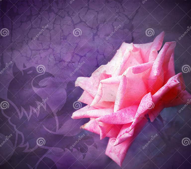 Grunge rose stock image. Image of floral, brown, ancient - 23079399