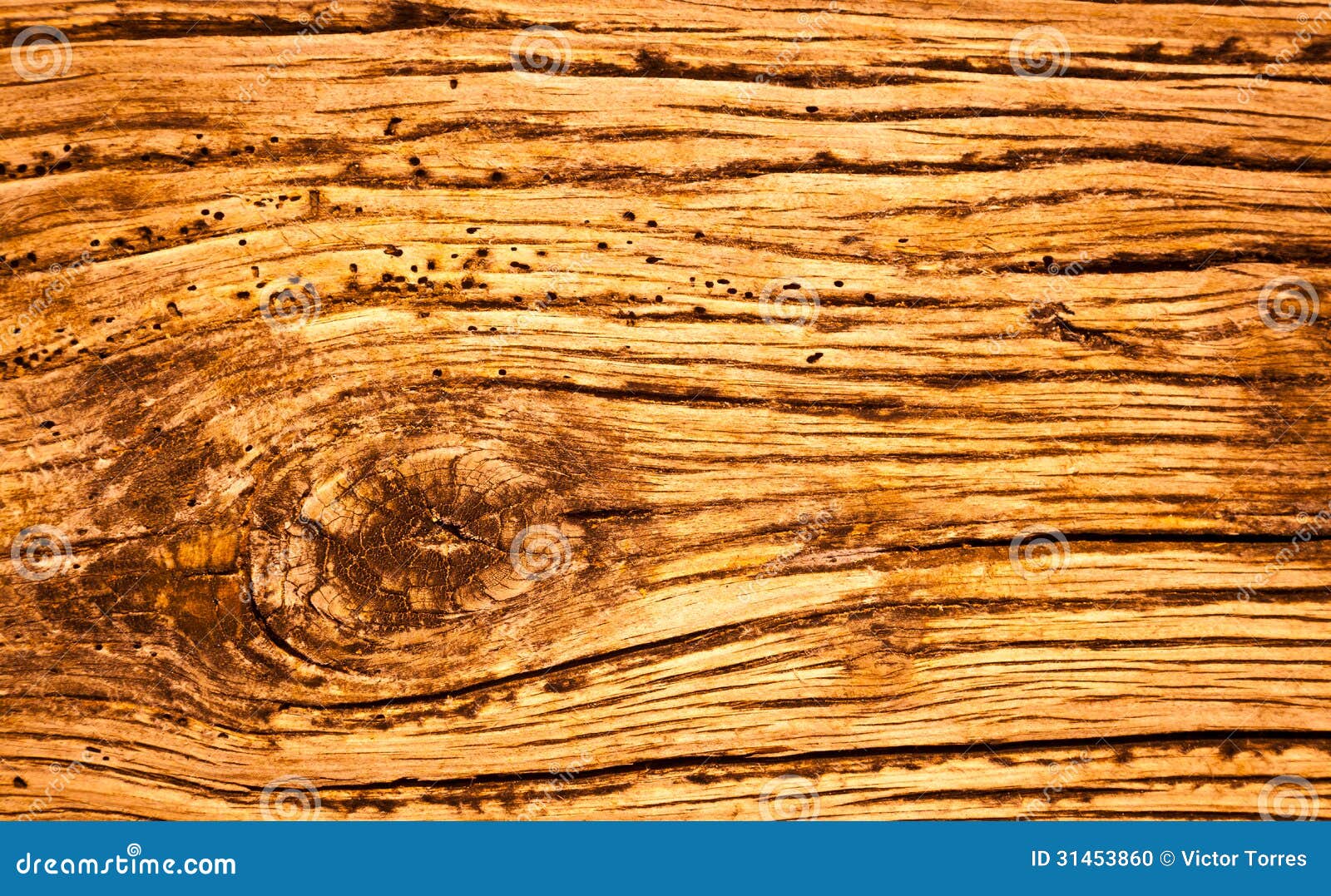 Grunge Rotten Wood Background Stock Photo - Image of floor, carpentry ...