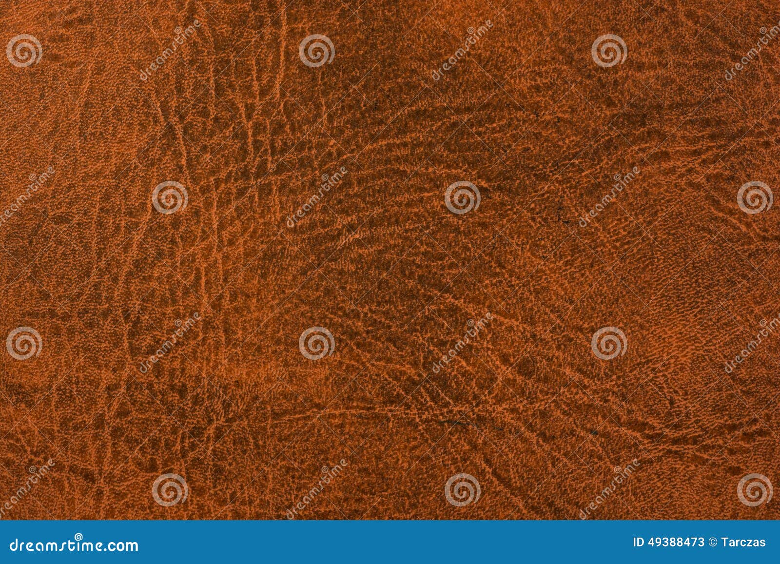 Grunge scratched leather stock image. Image of skin, brown - 49388473