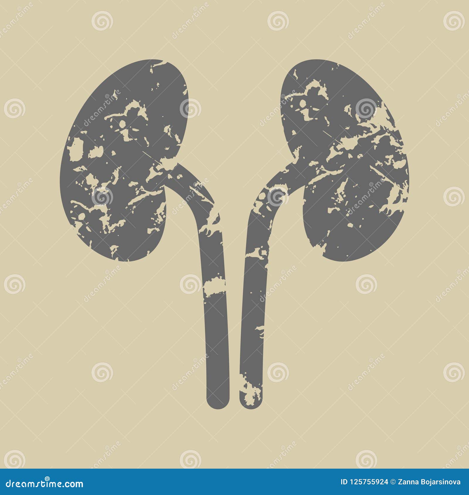 Silhouette Man Kidneys Anatomy Body Cartoon Vector | CartoonDealer.com ...