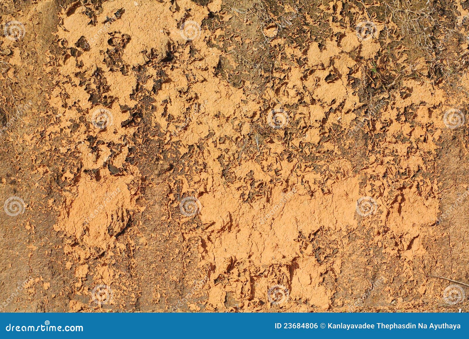 Grunge soil wall stock photo. Image of abandoned, close - 23684806