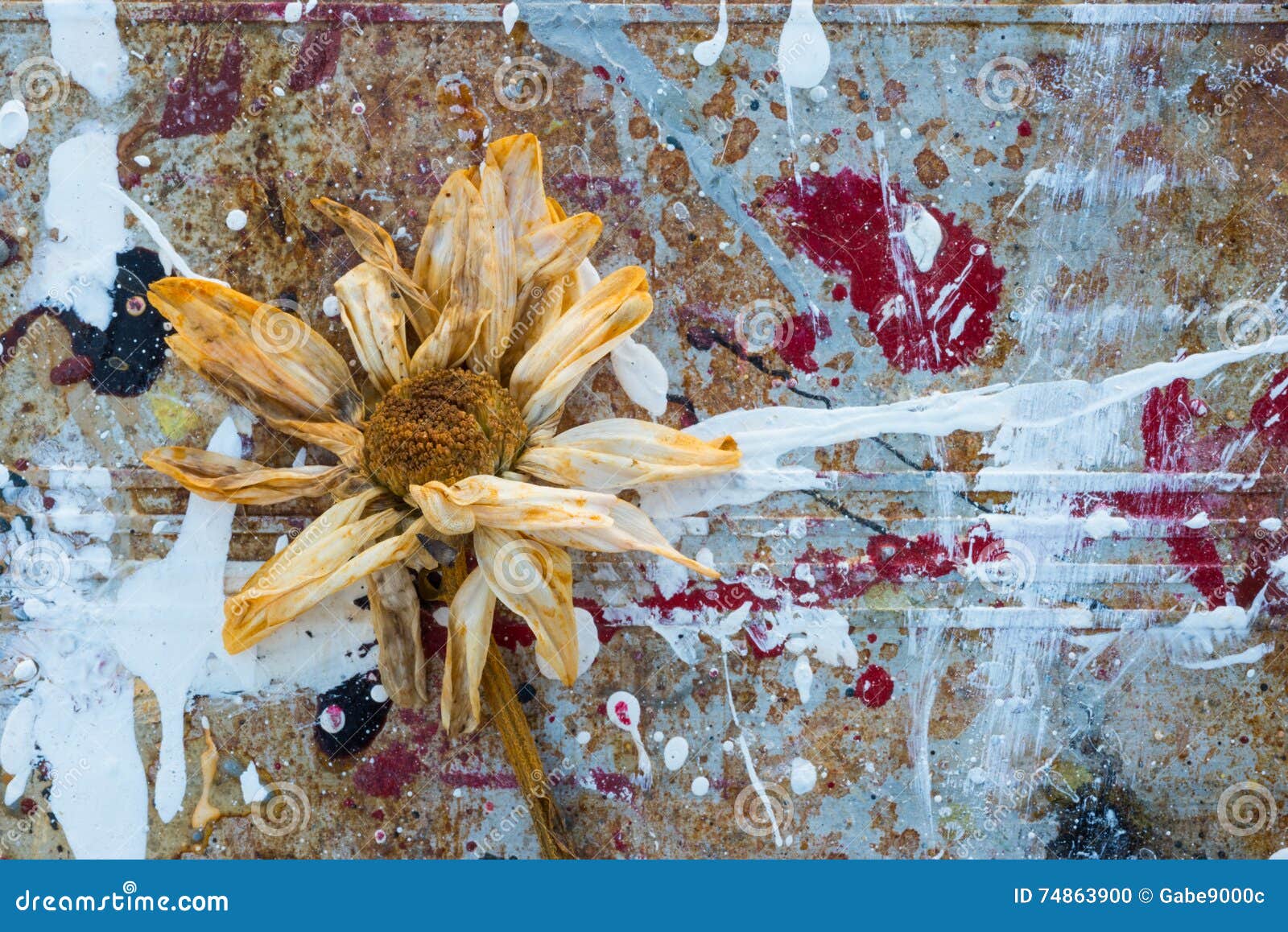 Grunge Splatter Paint Abstract Flower Stock Photo - Image of paint ...