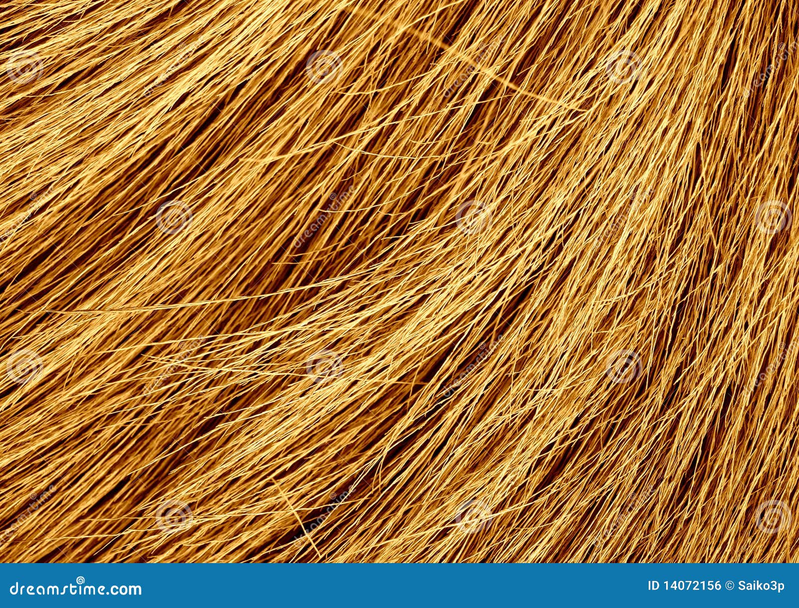 Grunge Texture of the Dry Grass Stock Photo - Image of heap, autumn ...