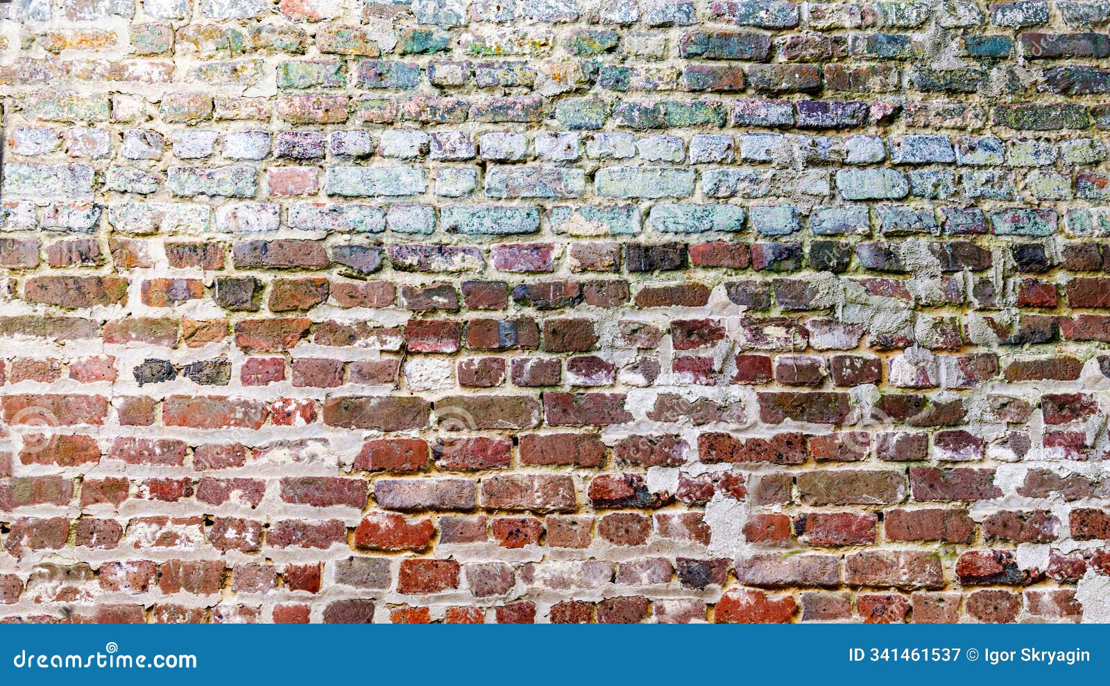 The Grunge Texture of an Old Brick Wall with Remnants of Lime and Mold ...
