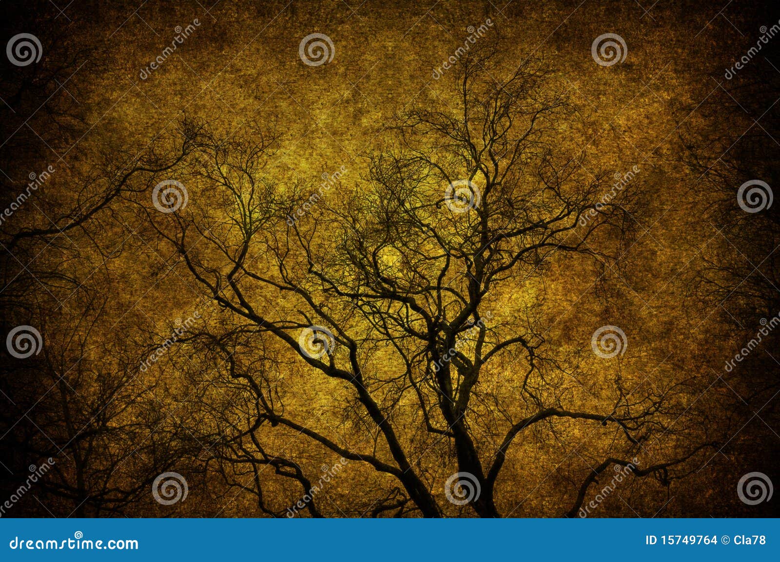 Grunge tree stock photo. Image of color, grunge, shadow - 15749764