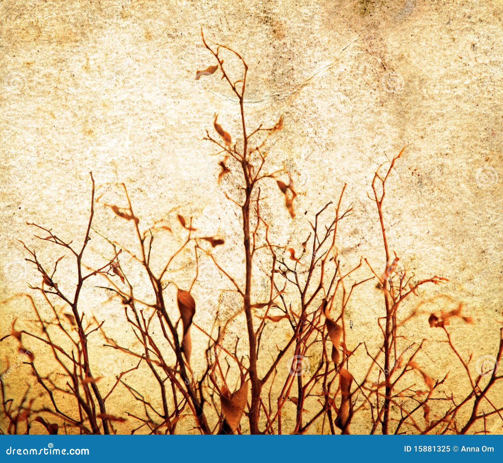 Grunge tree stock image. Image of element, backgrounds - 15881325