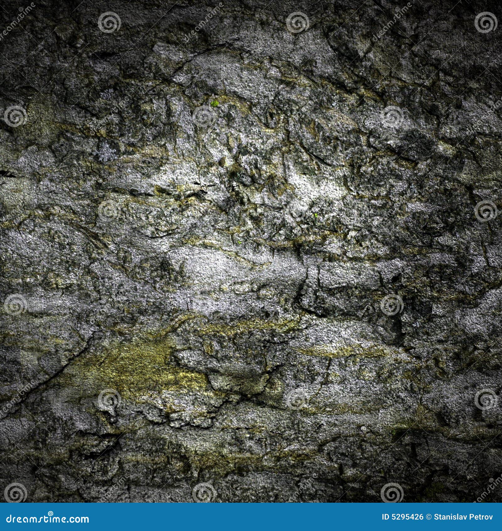 Grunge tree bark texture stock photo. Image of wood, macro - 5295426