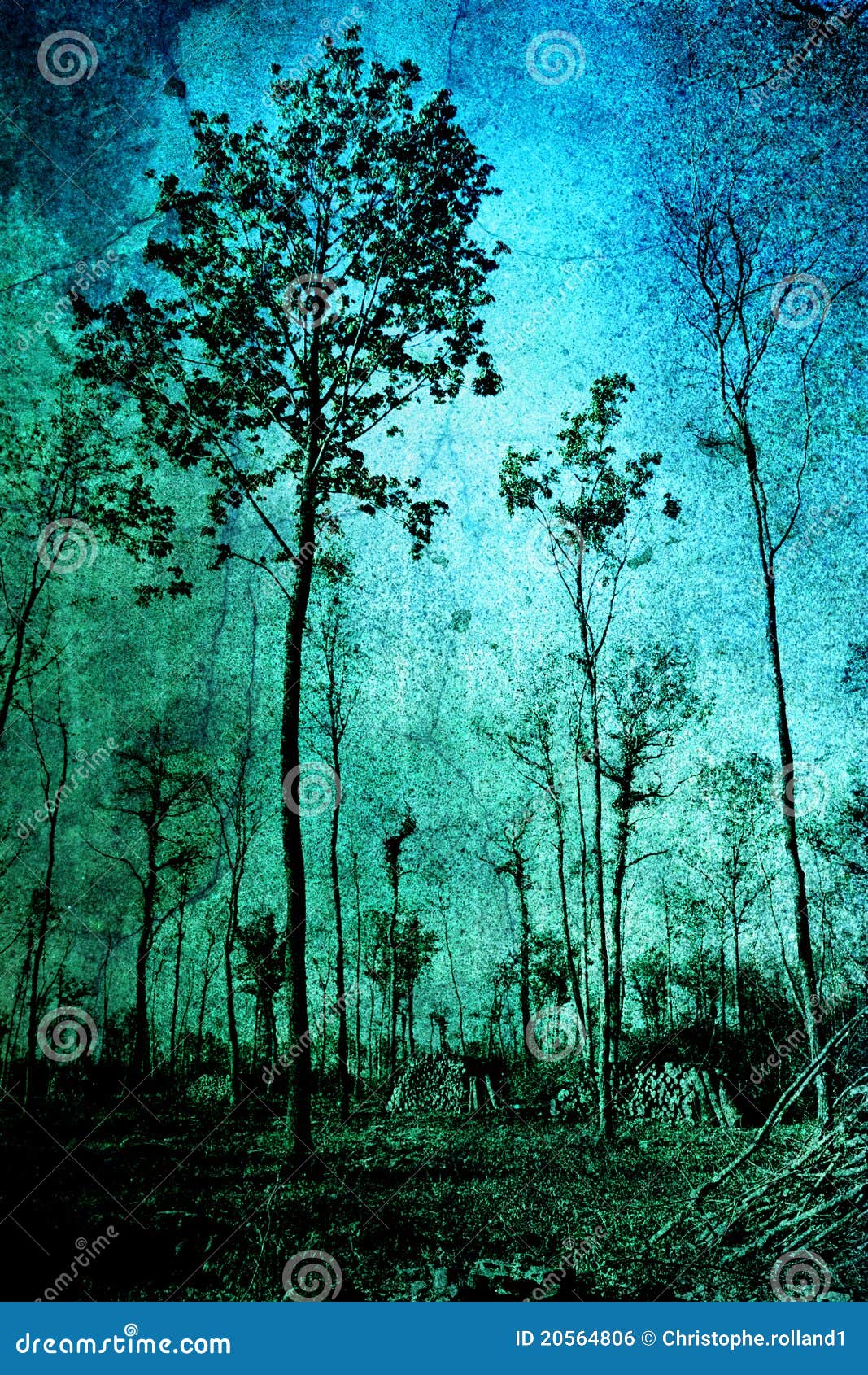 Grunge trees stock photo. Image of forest, noise, paint - 20564806