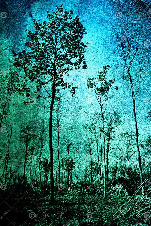 Grunge trees stock photo. Image of forest, noise, paint - 20564806