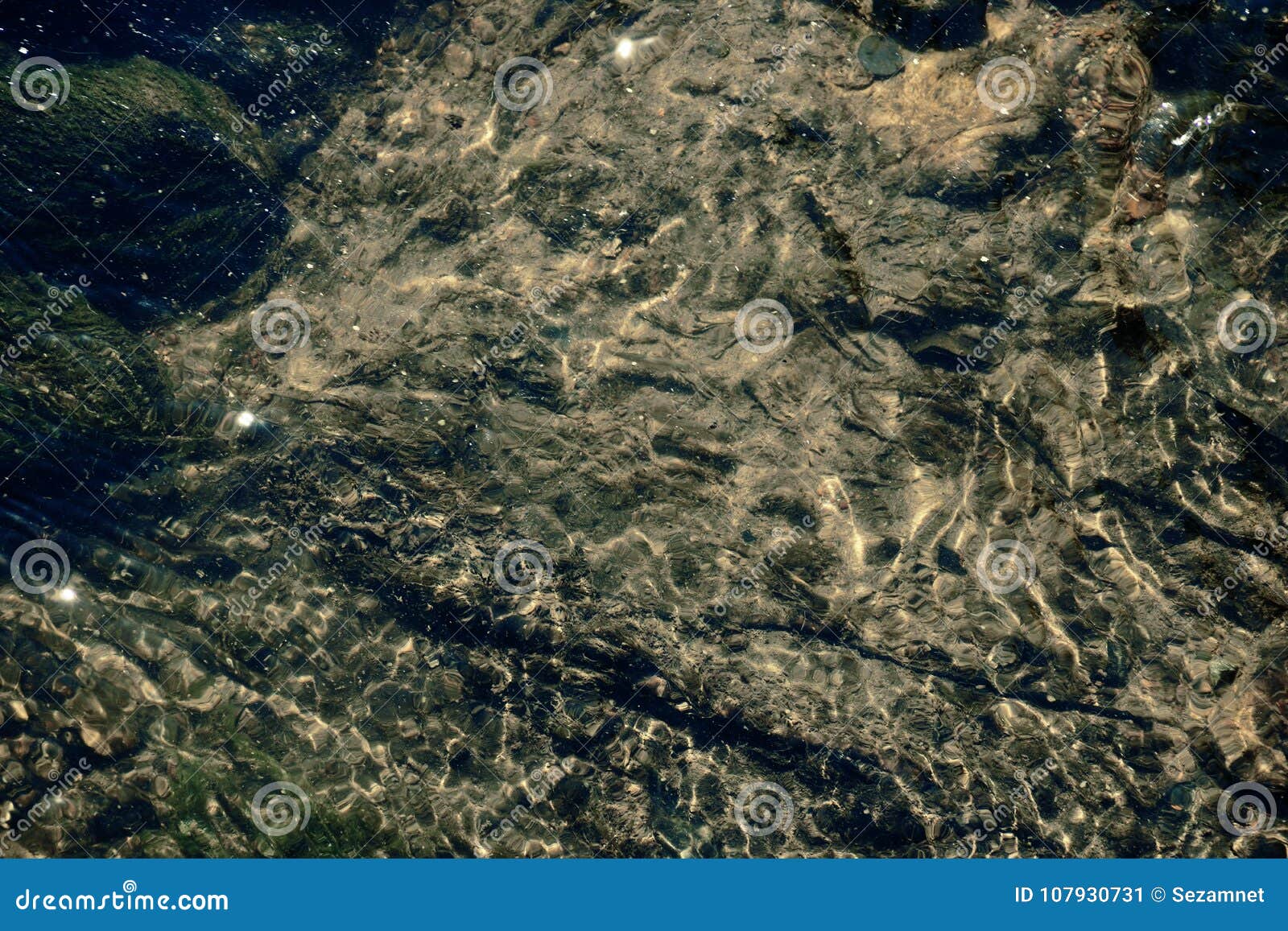 Grunge Water in a Pond Texture Background Stock Image - Image of ...