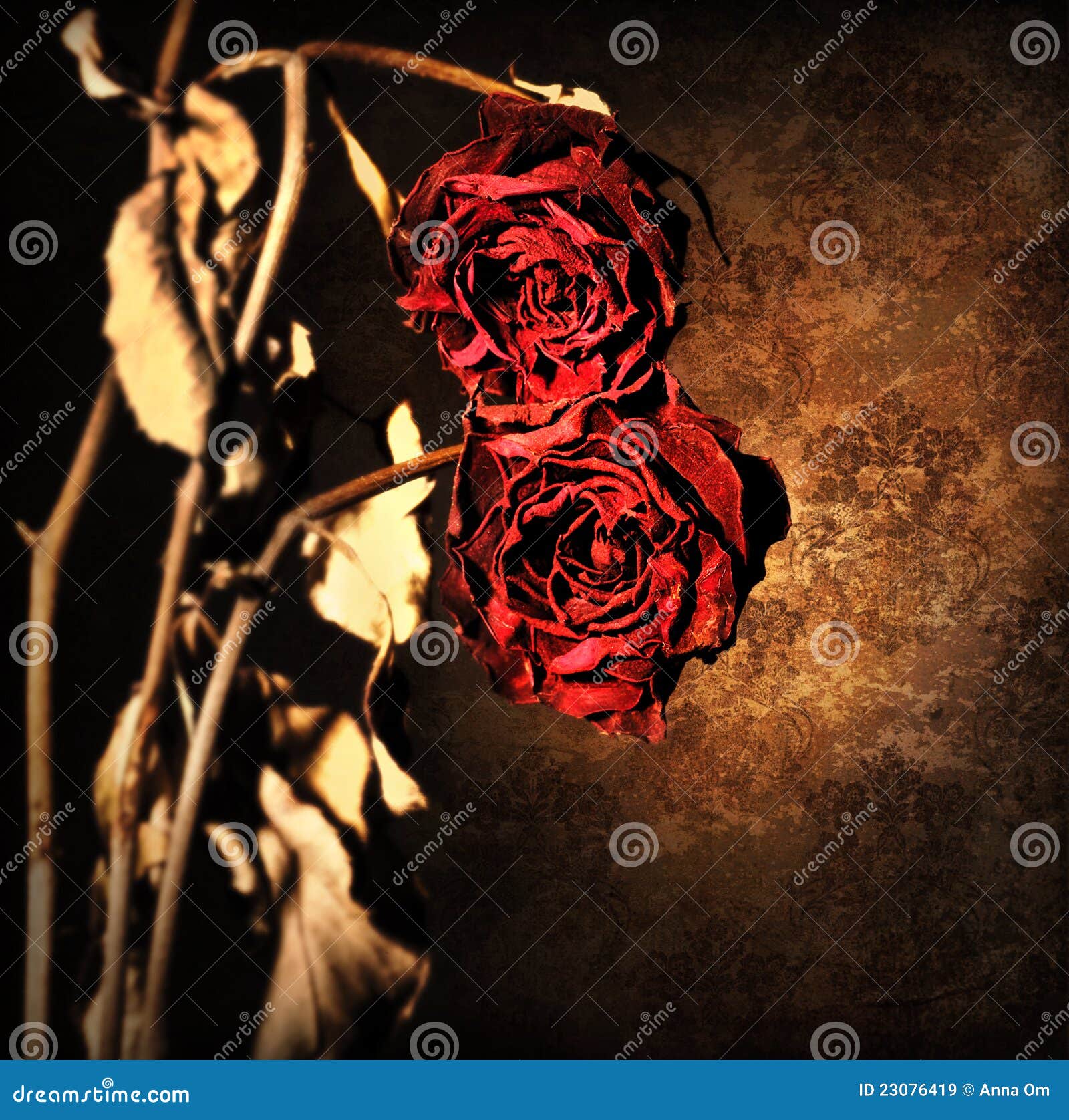 Grunge wilted roses border stock image. Image of rose - 23076419