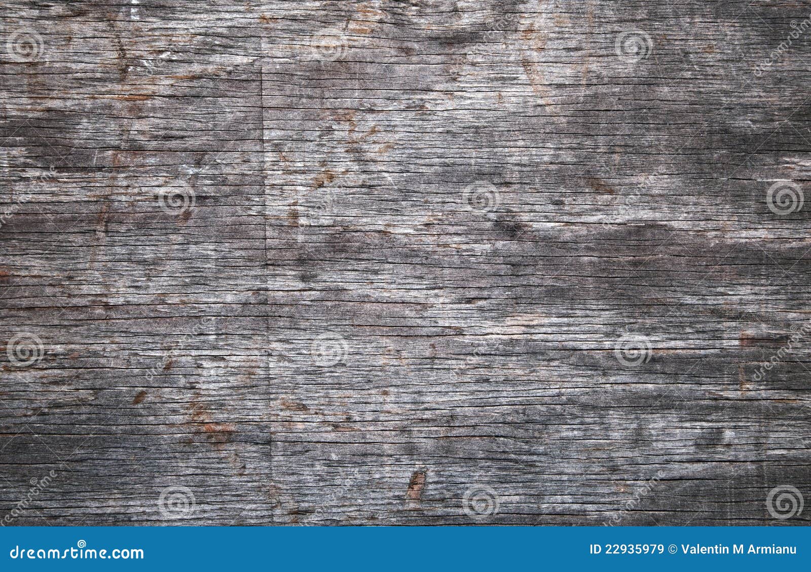 Grunge Wood Texture
