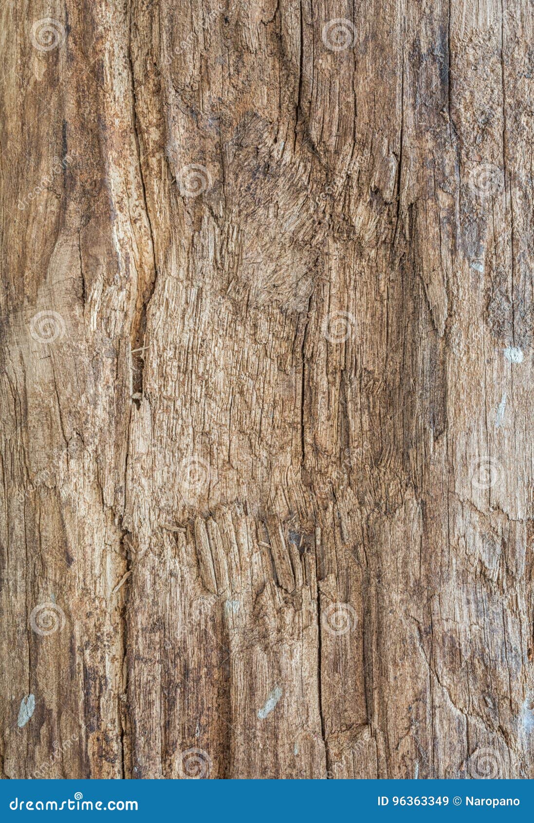 Grunge Wood Texture Background Stock Image - Image of exterior, floor ...