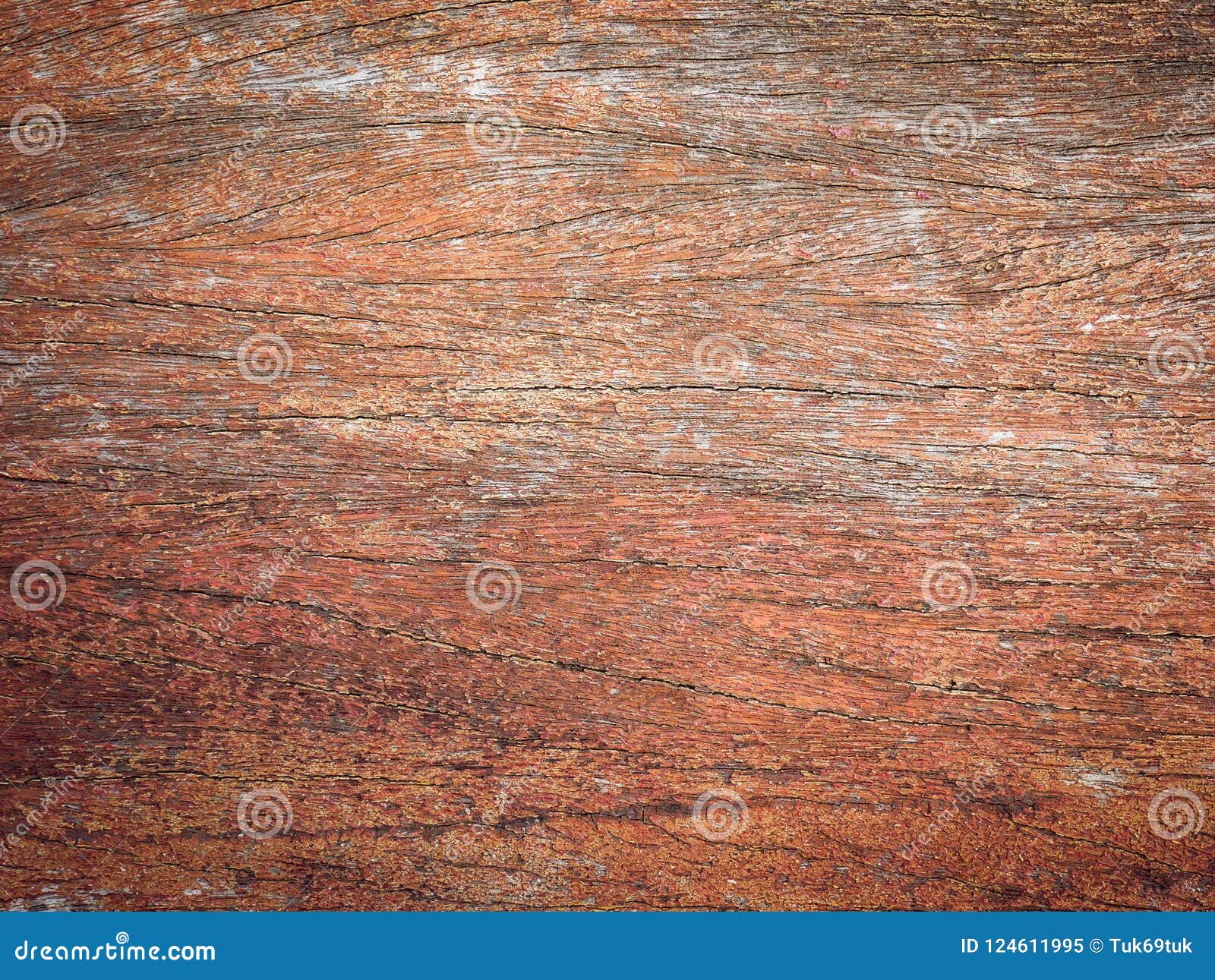 Grunge Wood Texture Background for Design Stock Image - Image of ...