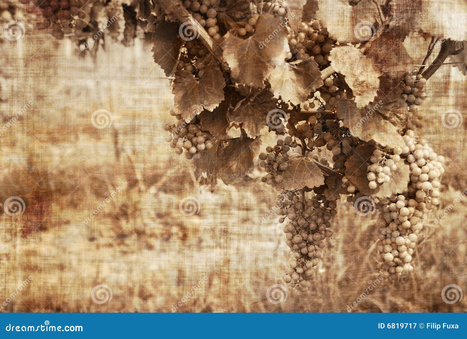 Tokai Cartoons, Illustrations & Vector Stock Images - 50 Pictures to ...