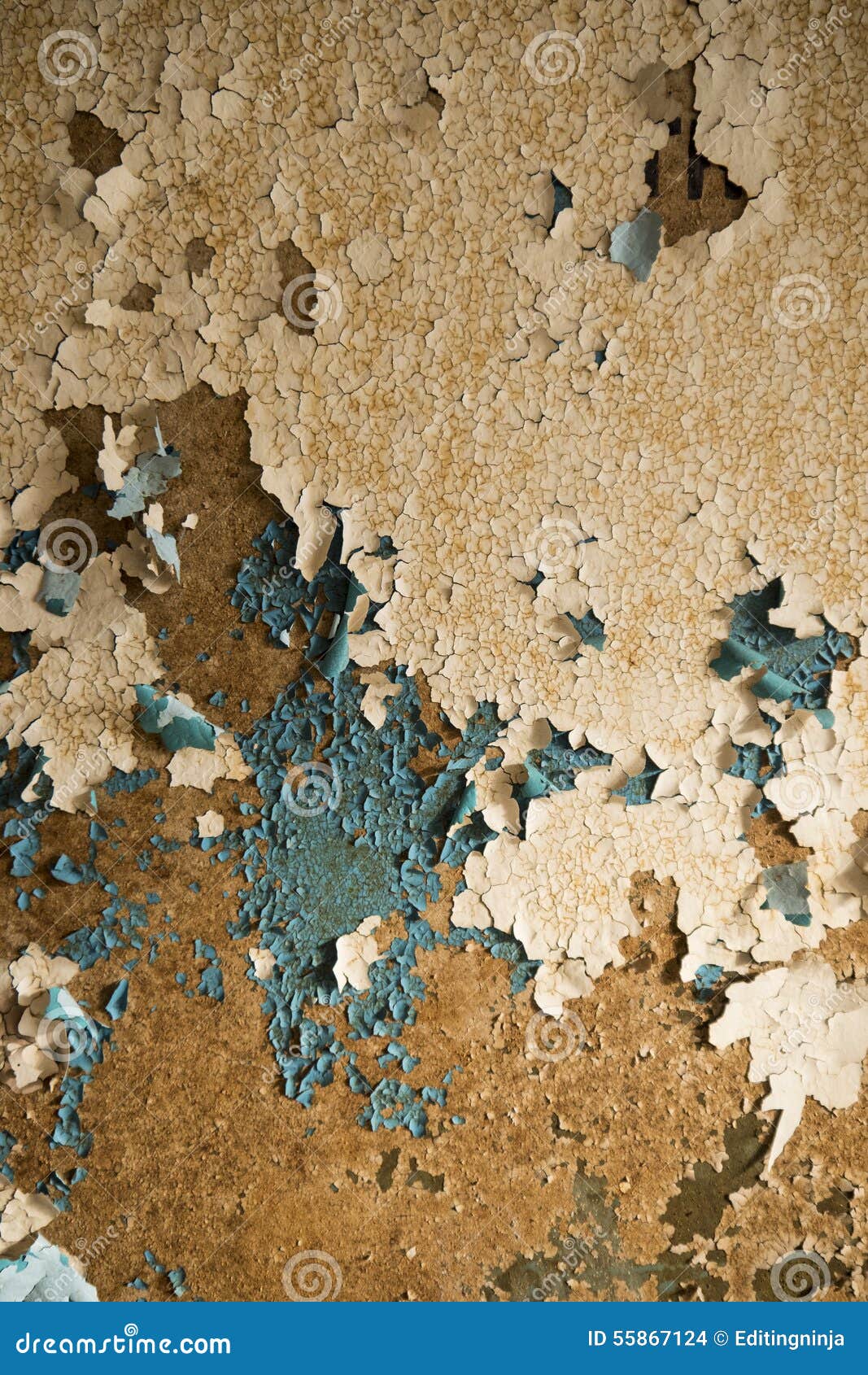 Grungy Paint Texture stock photo. Image of urban, deserted - 55867124