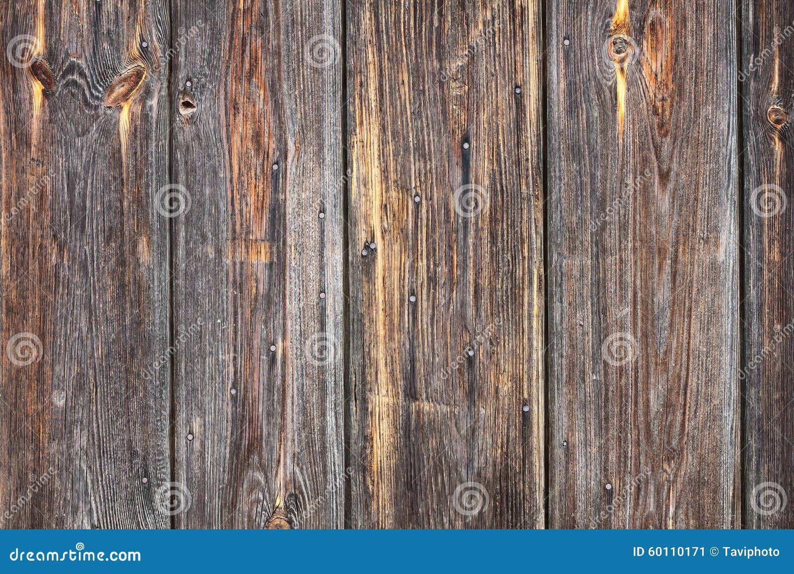 Grungy Real Spruce Wood Texture Stock Image - Image of board, grain ...