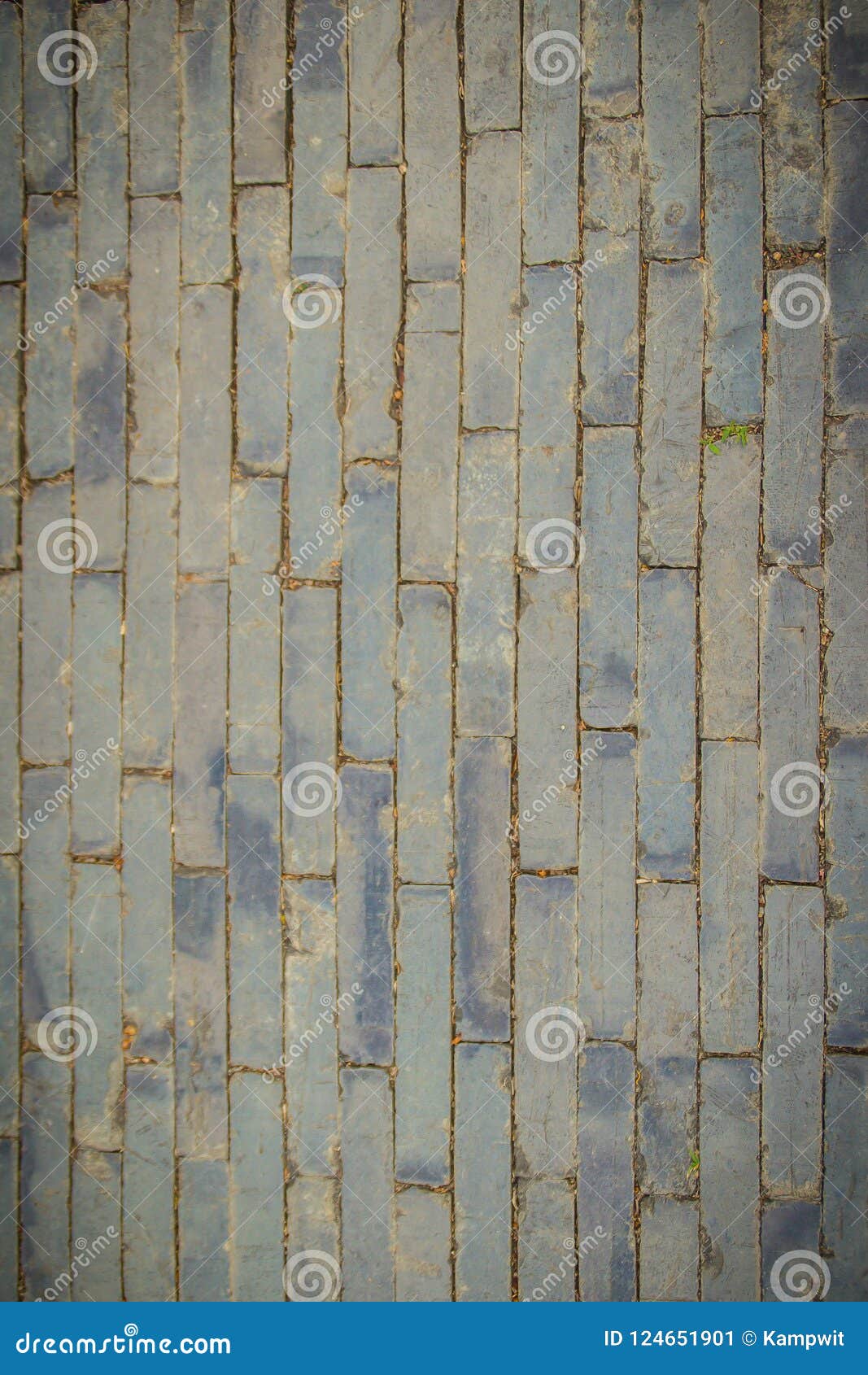Grungy Rectangular Gray Stone Pavement for Background. Top View of Grey ...