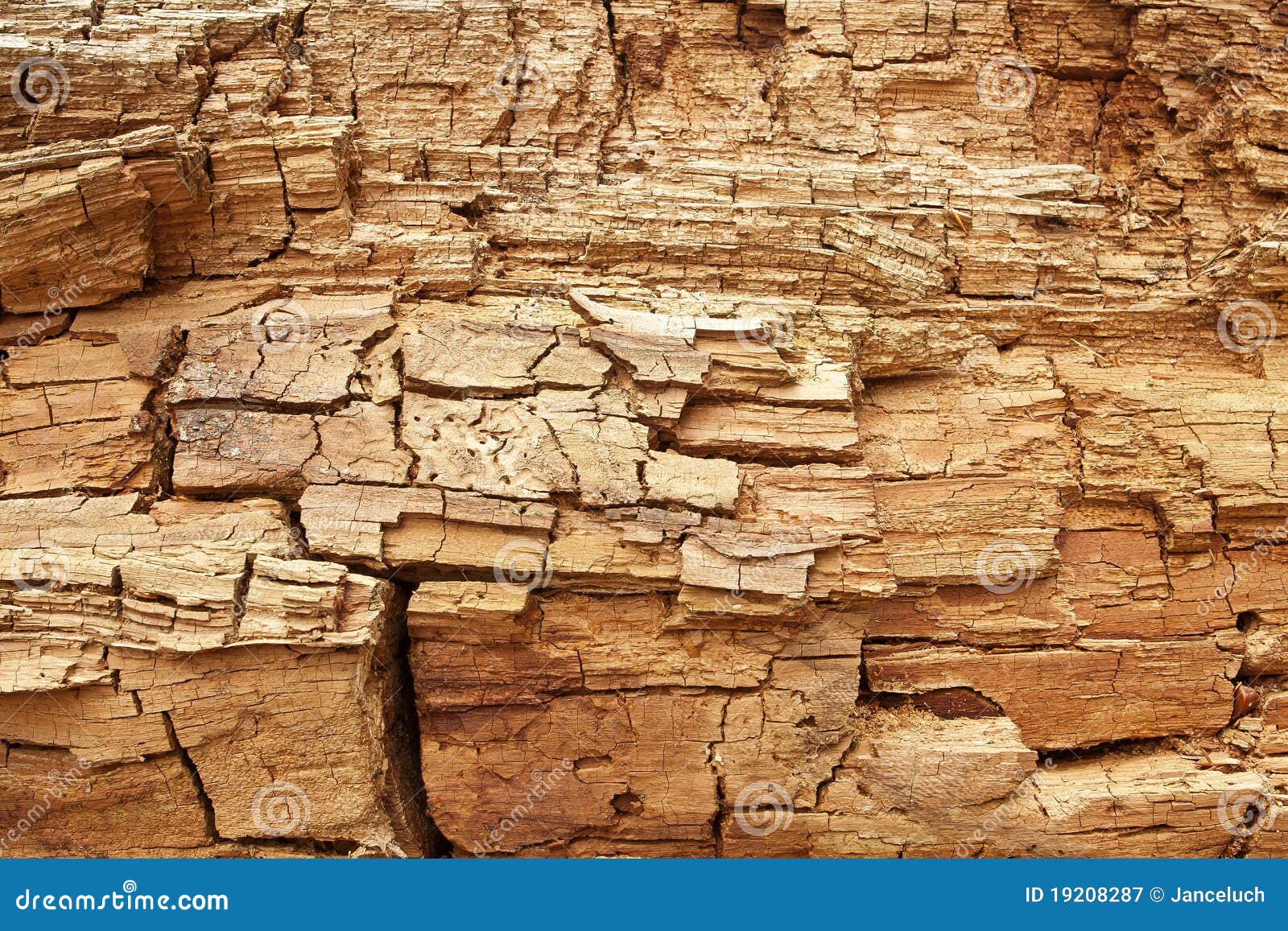 Grungy rotten wood texture stock image. Image of textured - 19208287