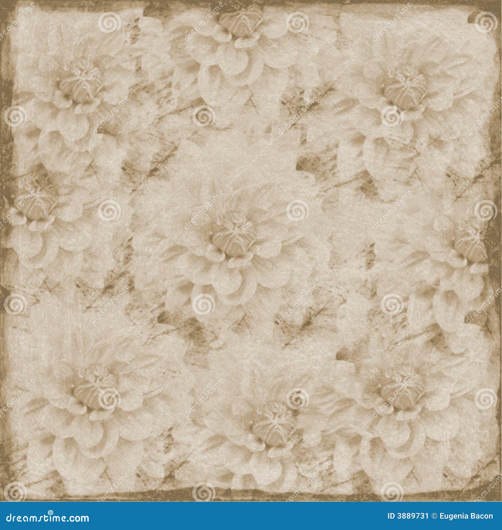 Grungy Sepia Large Floral Background Stock Image - Image of pastel ...